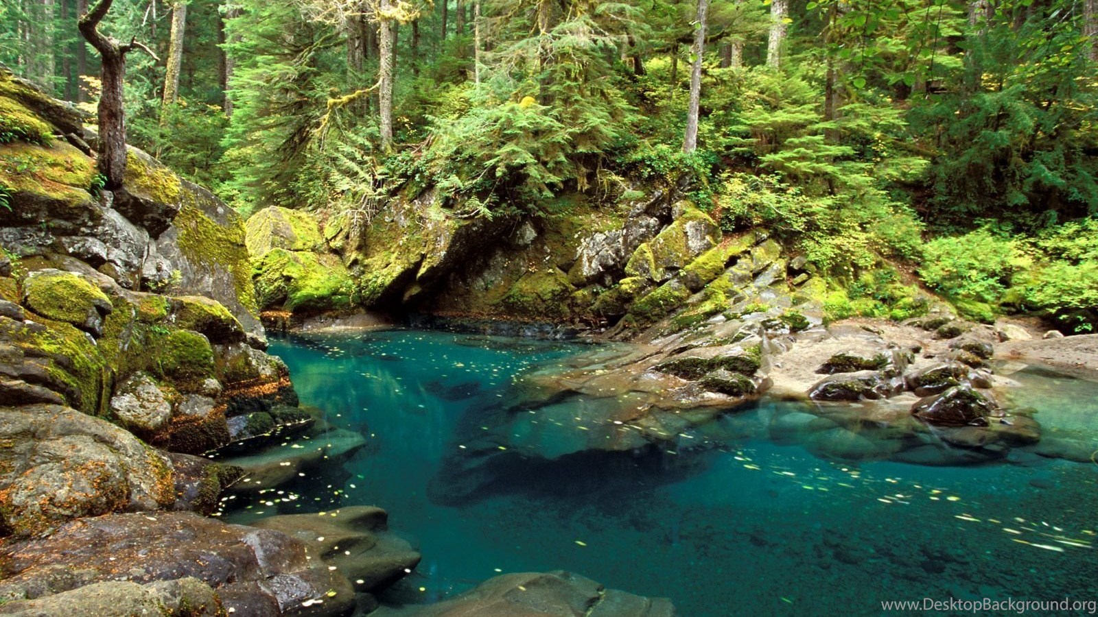 Nature River Wallpapers - Wallpaper Cave