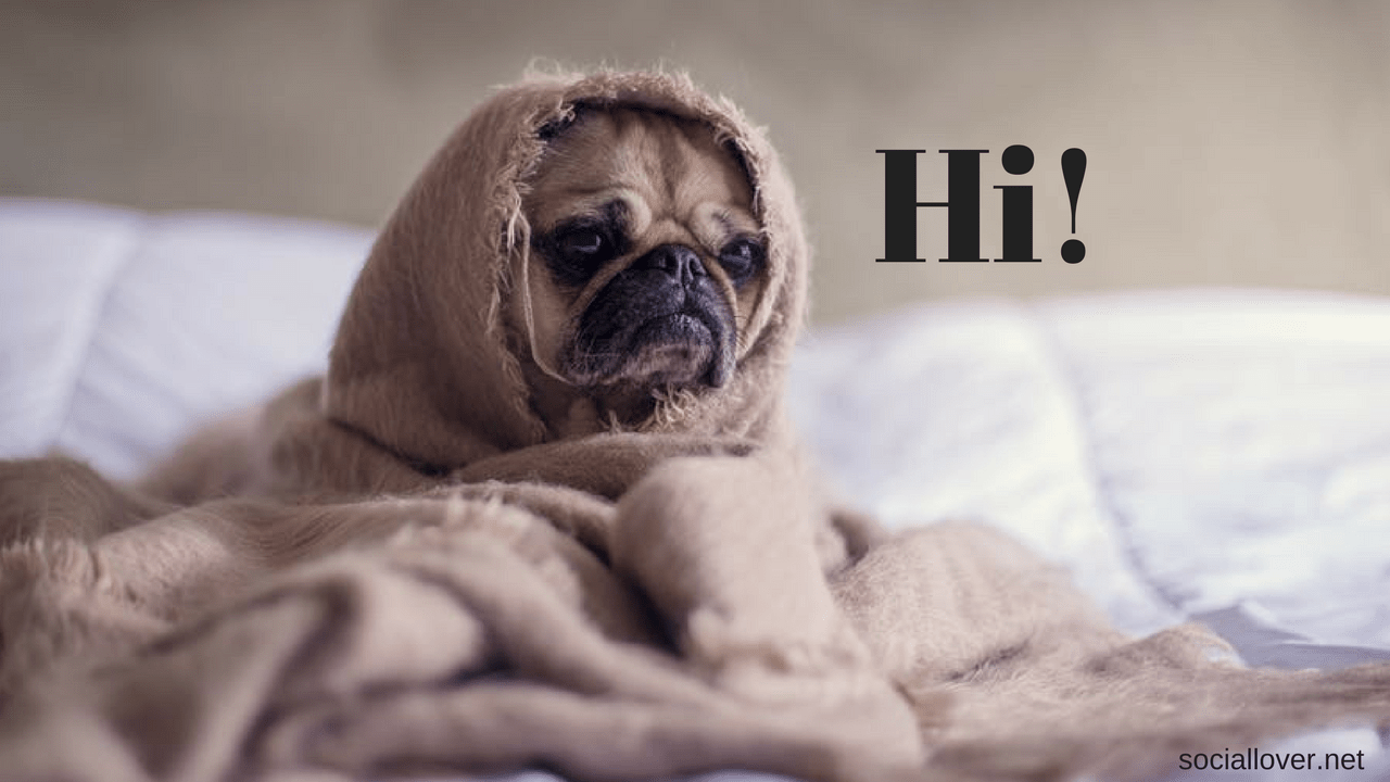 Funny Hello Wallpapers - Wallpaper Cave