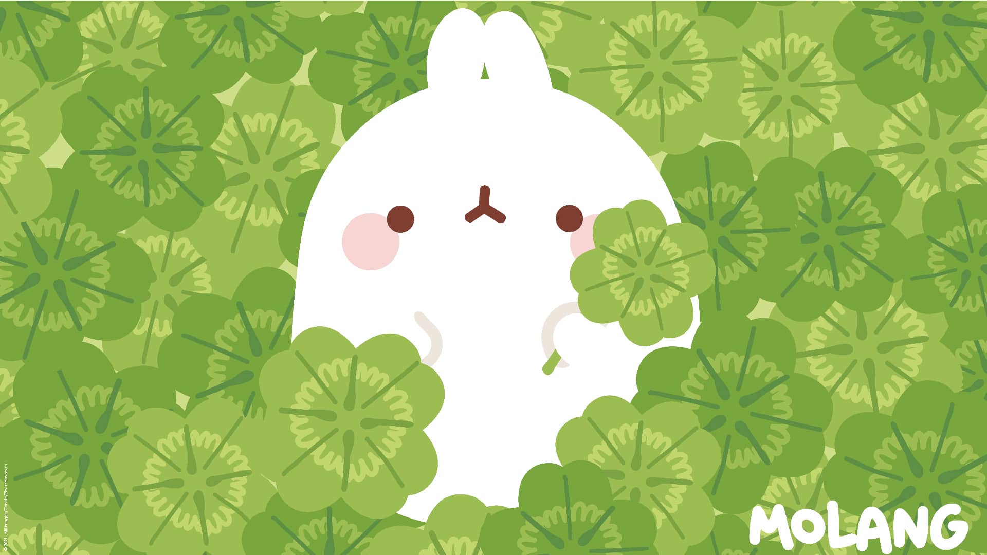 Cute Molang Spring Wallpapers - Wallpaper Cave