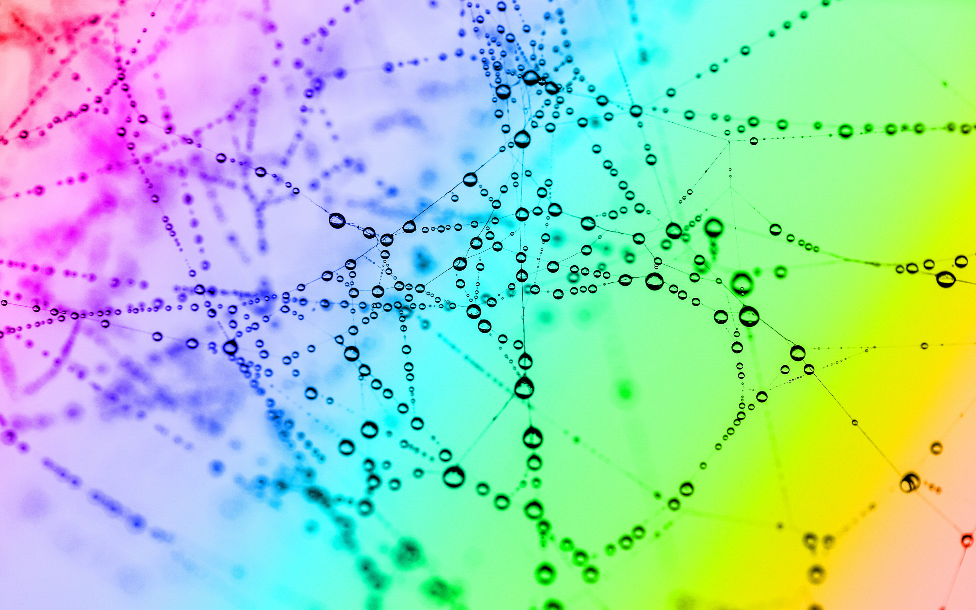 Cobweb Wallpapers - Wallpaper Cave