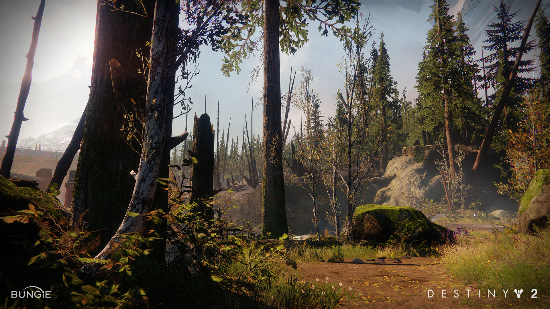 EDZ Wallpapers - Wallpaper Cave