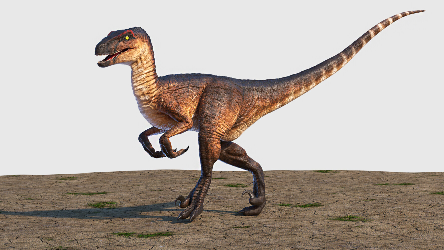 Utahraptor Wallpapers - Wallpaper Cave