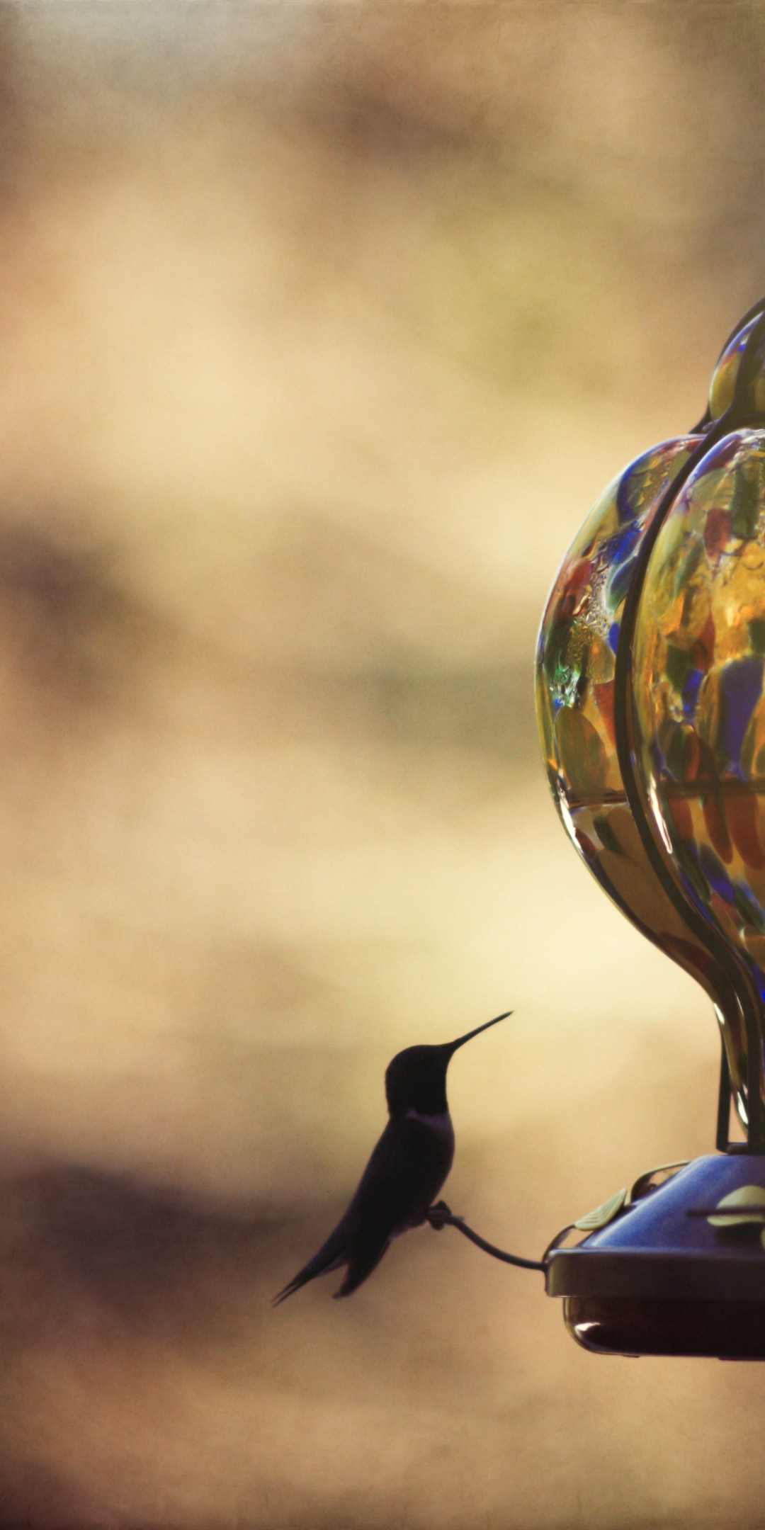 Shadow Bird Wallpapers - Wallpaper Cave