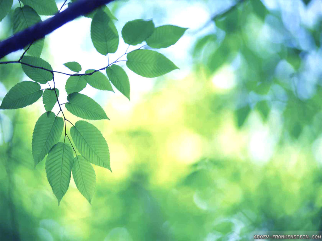 Bright Spring Wallpapers - Wallpaper Cave