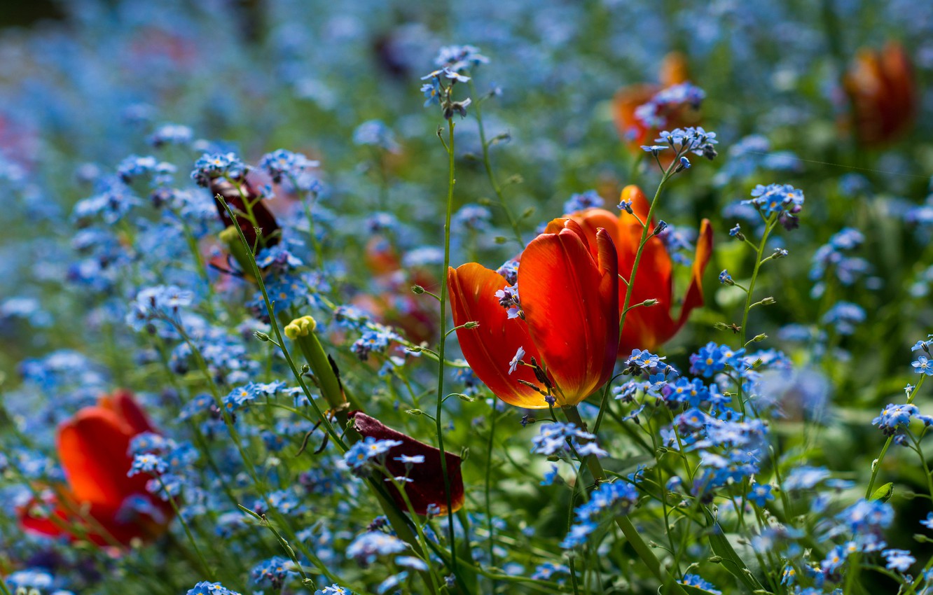 Bright Spring Wallpapers - Wallpaper Cave