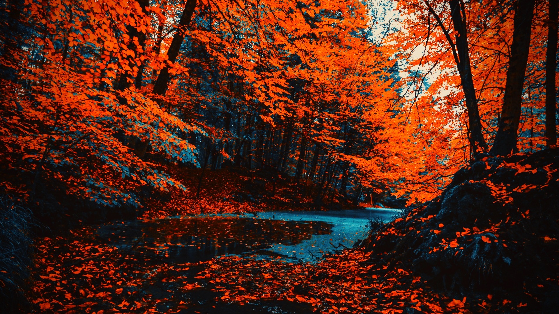 Fall 2022 Wallpapers - Wallpaper Cave