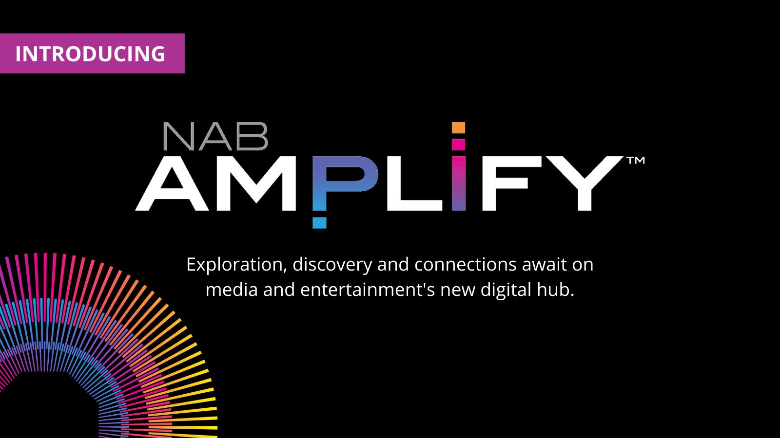 Amplify Logo Wallpapers - Wallpaper Cave