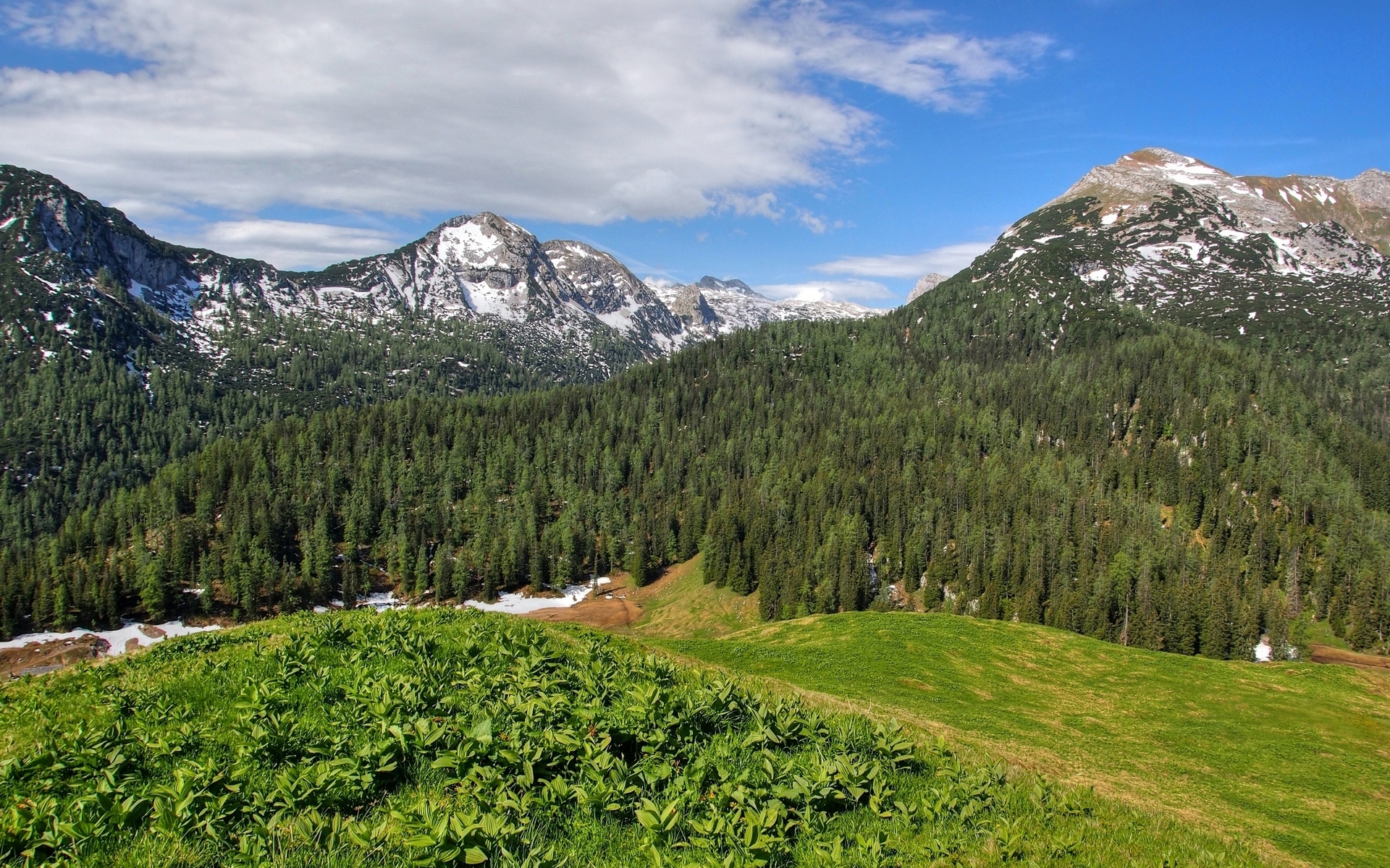 Resting Place Wallpapers - Wallpaper Cave