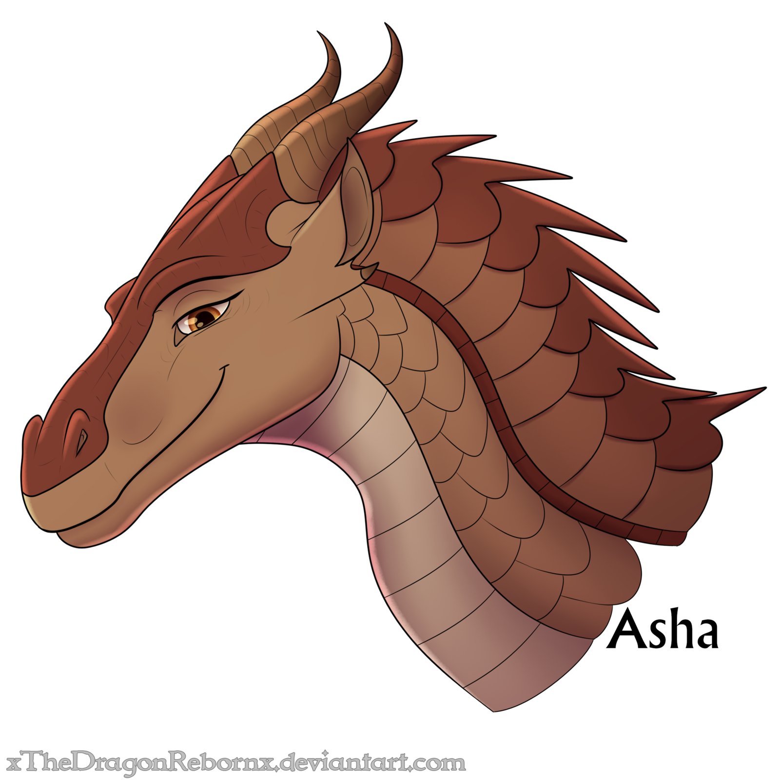 MudWings Wallpapers - Wallpaper Cave