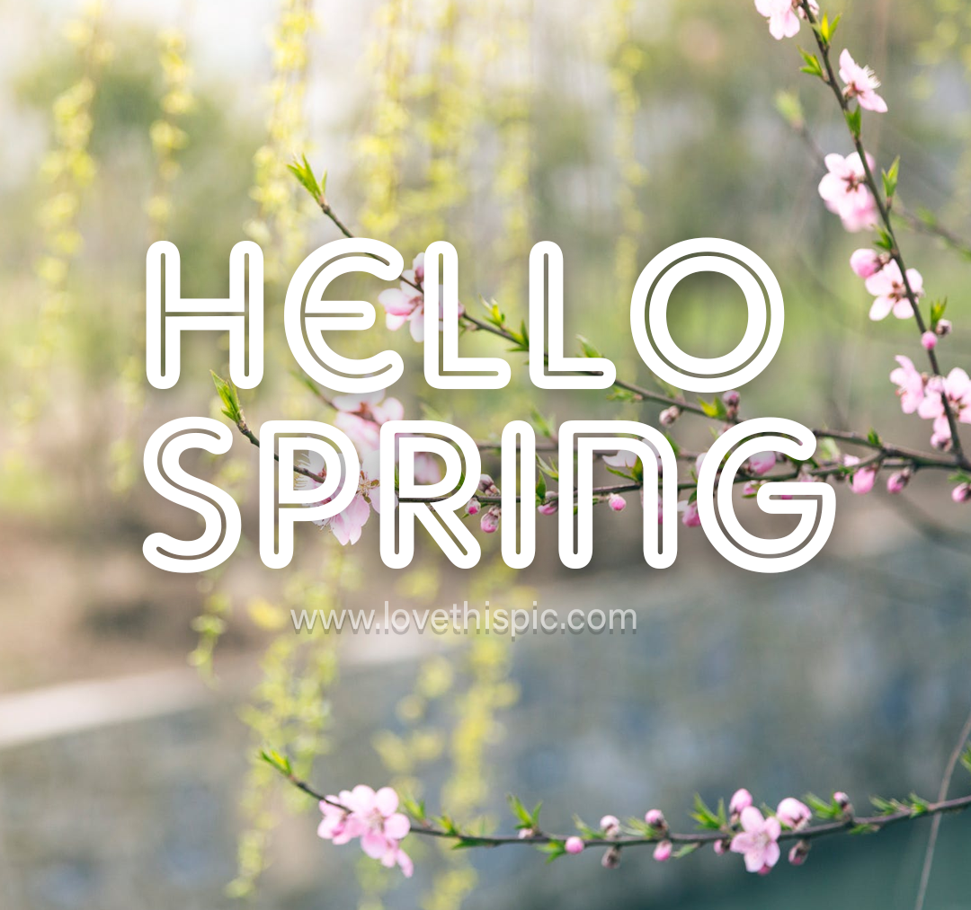 Cute Hello Spring Wallpapers - Wallpaper Cave