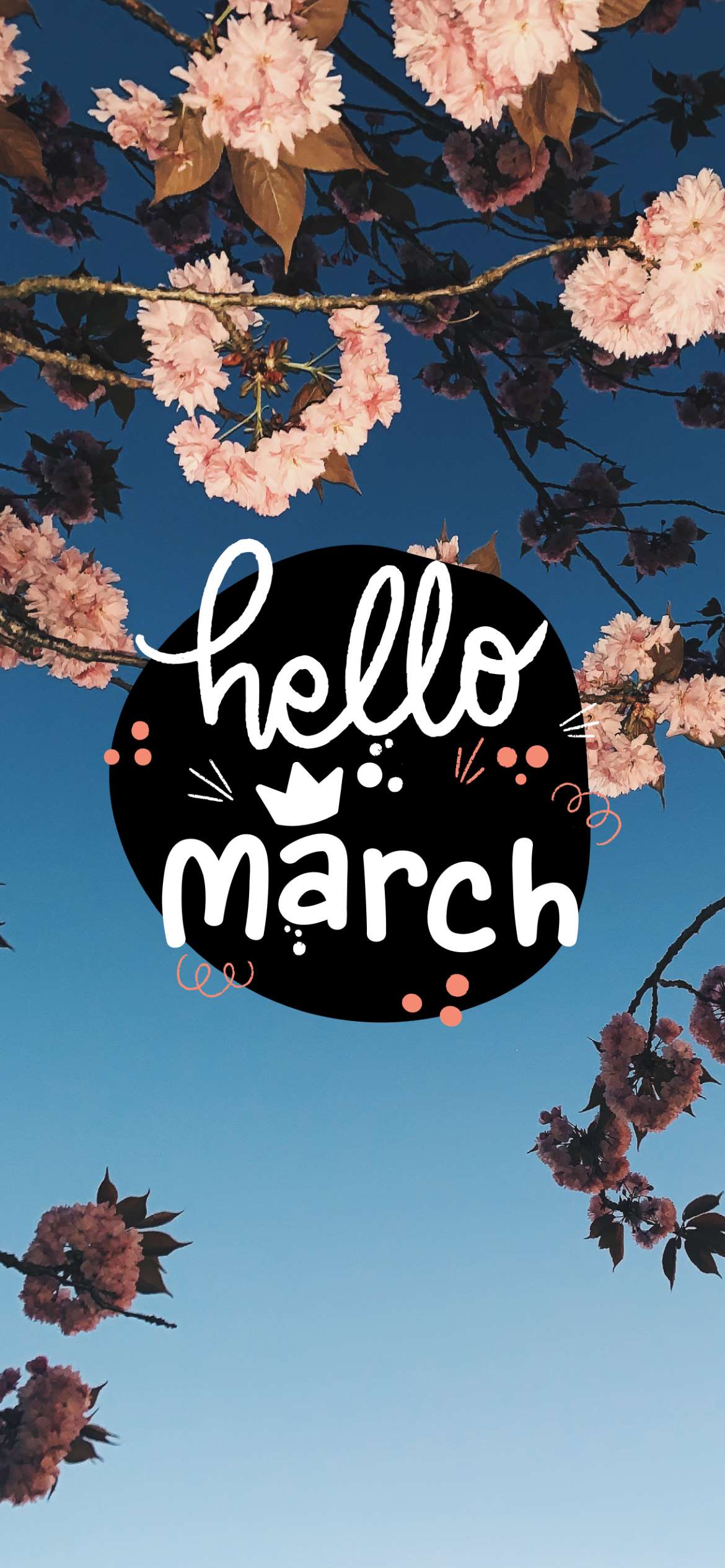 Hello Spring Tumblr Wallpaper