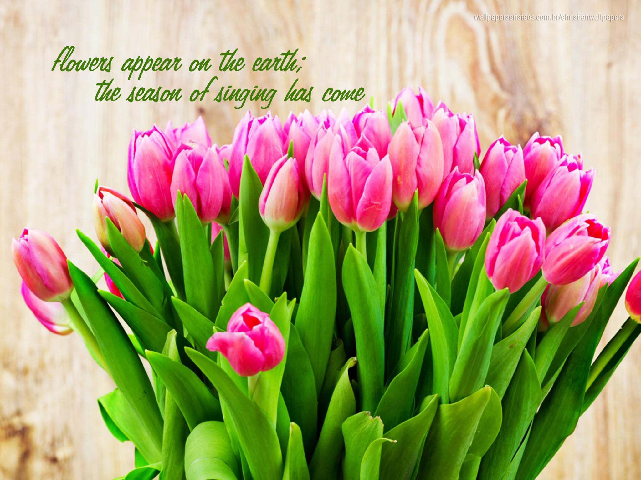 Spring Bible Wallpapers - Wallpaper Cave