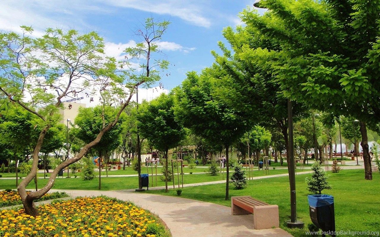 Public Park Wallpapers - Wallpaper Cave