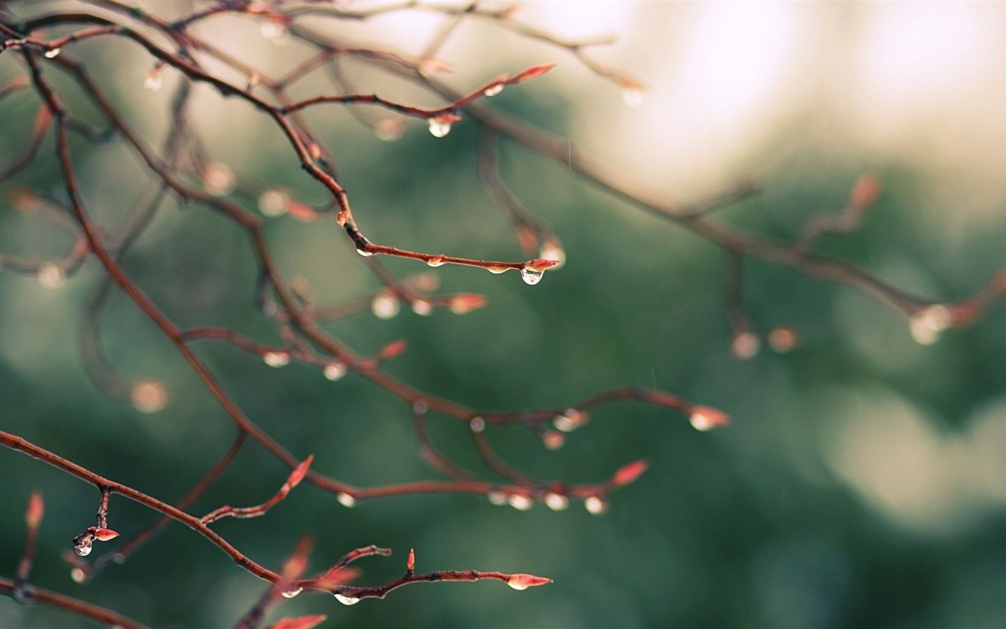 Macbook HD Spring Wallpapers - Wallpaper Cave