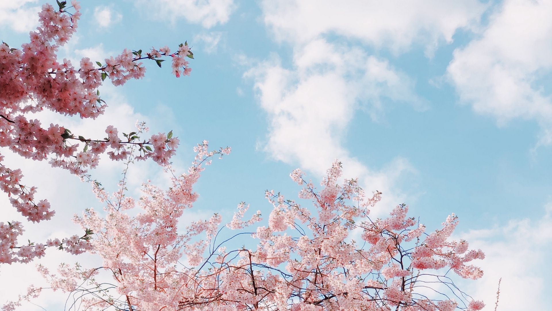 Macbook HD Spring Wallpapers - Wallpaper Cave