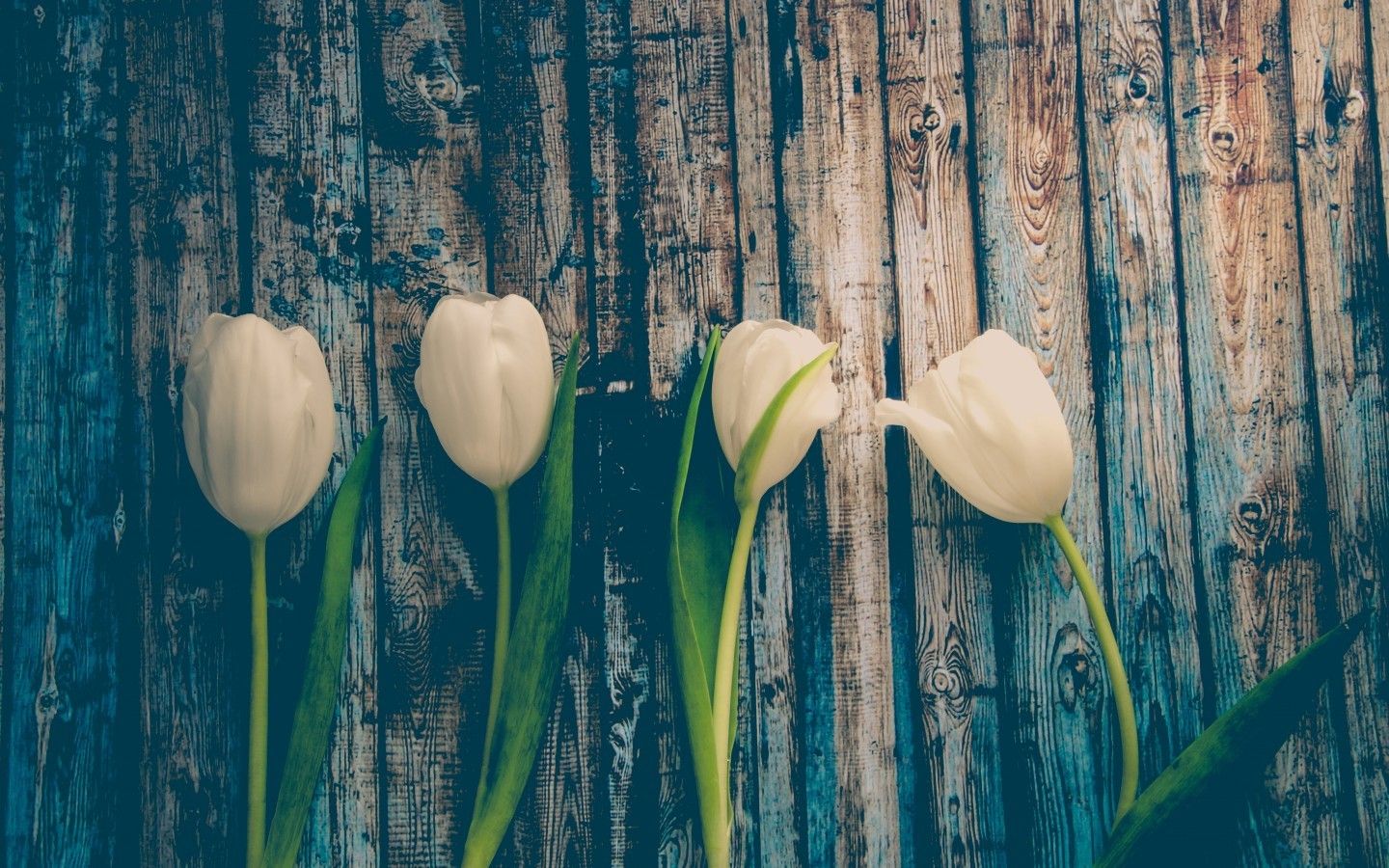 Macbook HD Spring Wallpapers - Wallpaper Cave