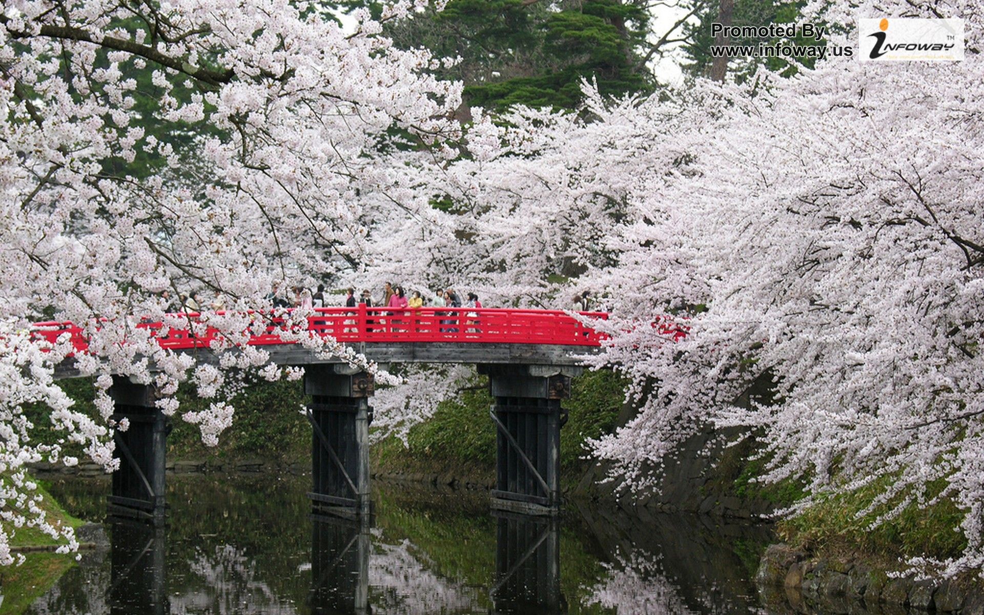 Spring Japan City Wallpapers - Wallpaper Cave