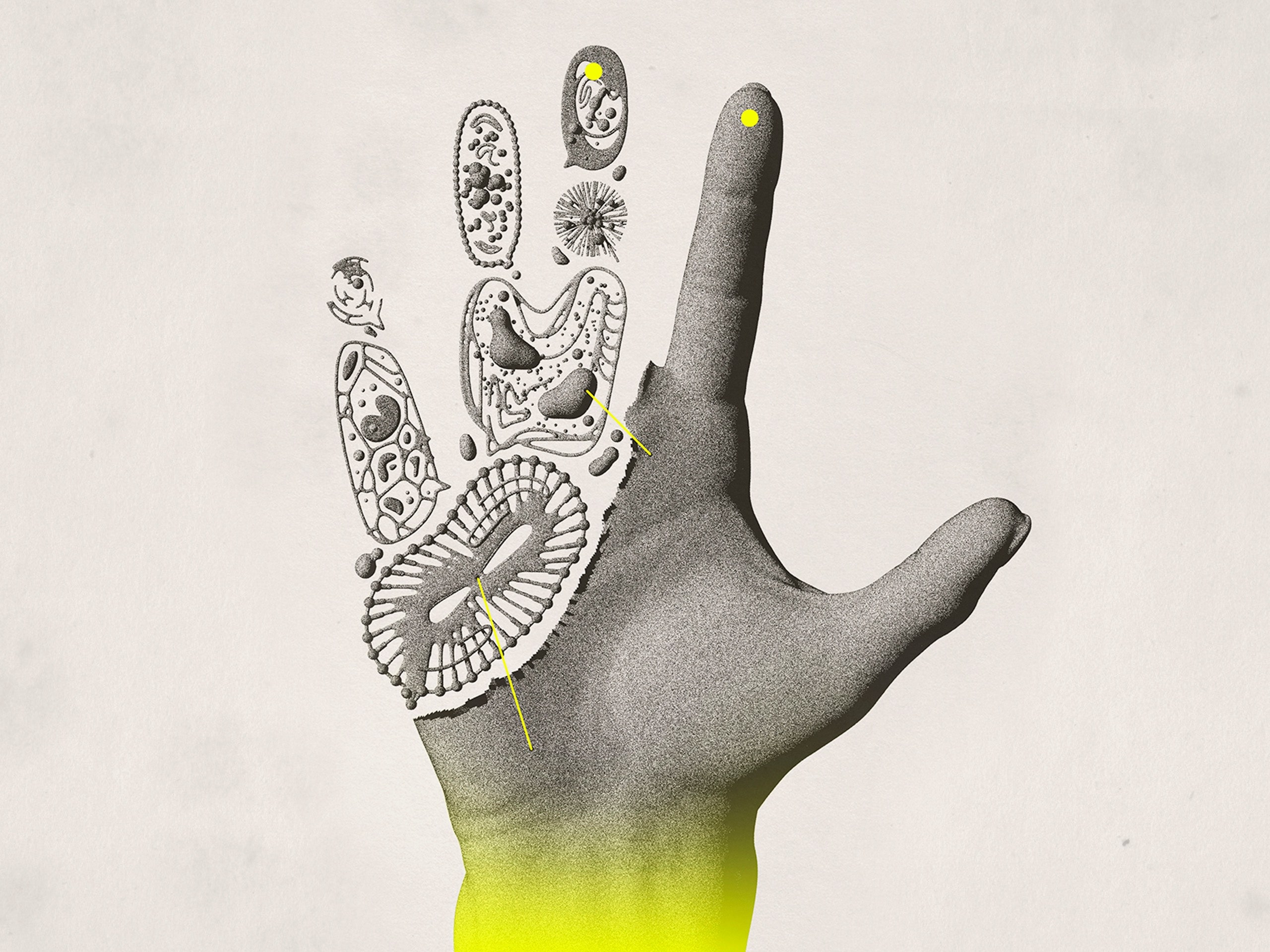 Slime Language Wallpapers - Wallpaper Cave