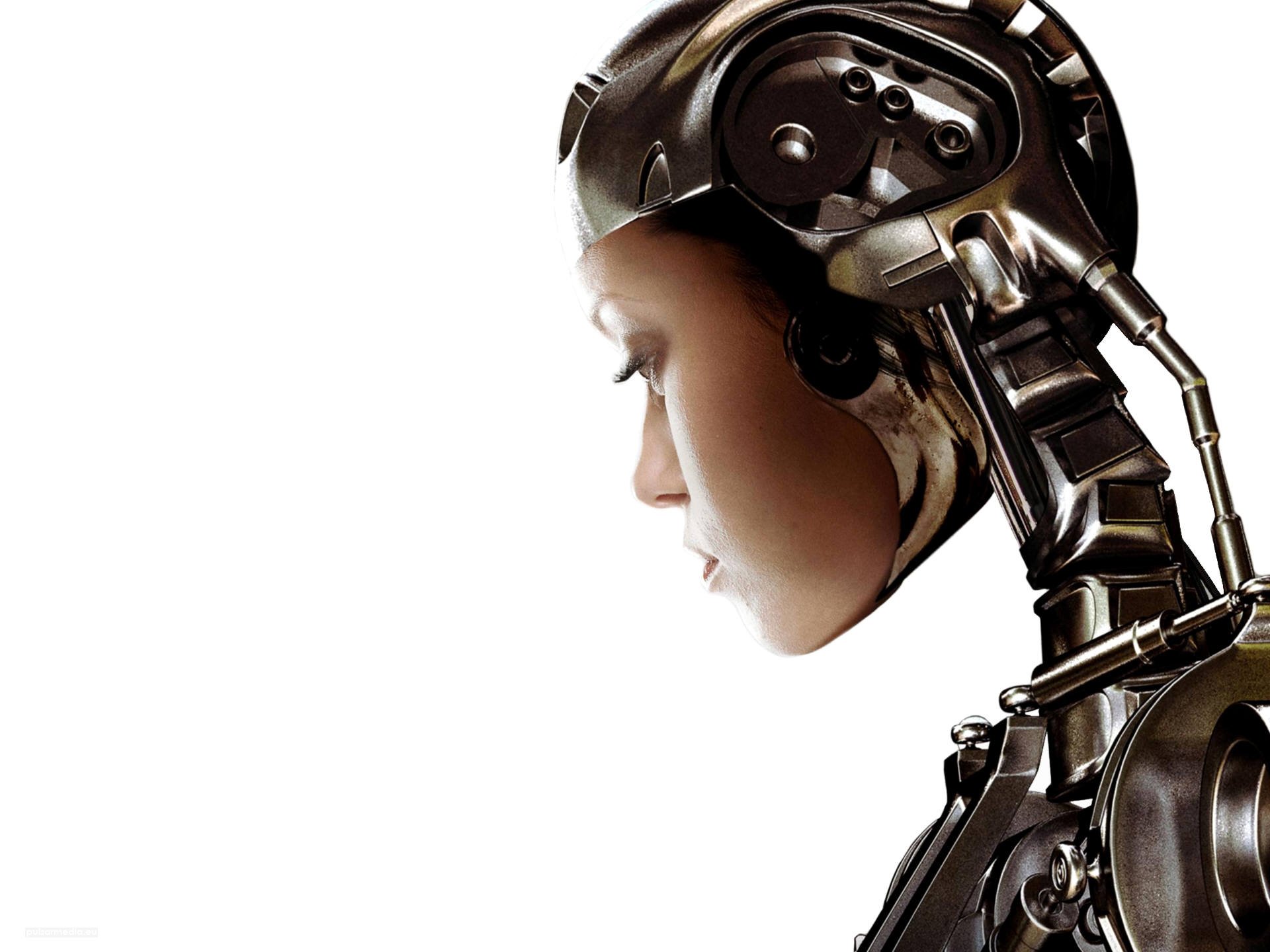 Terminatrix Wallpapers - Wallpaper Cave