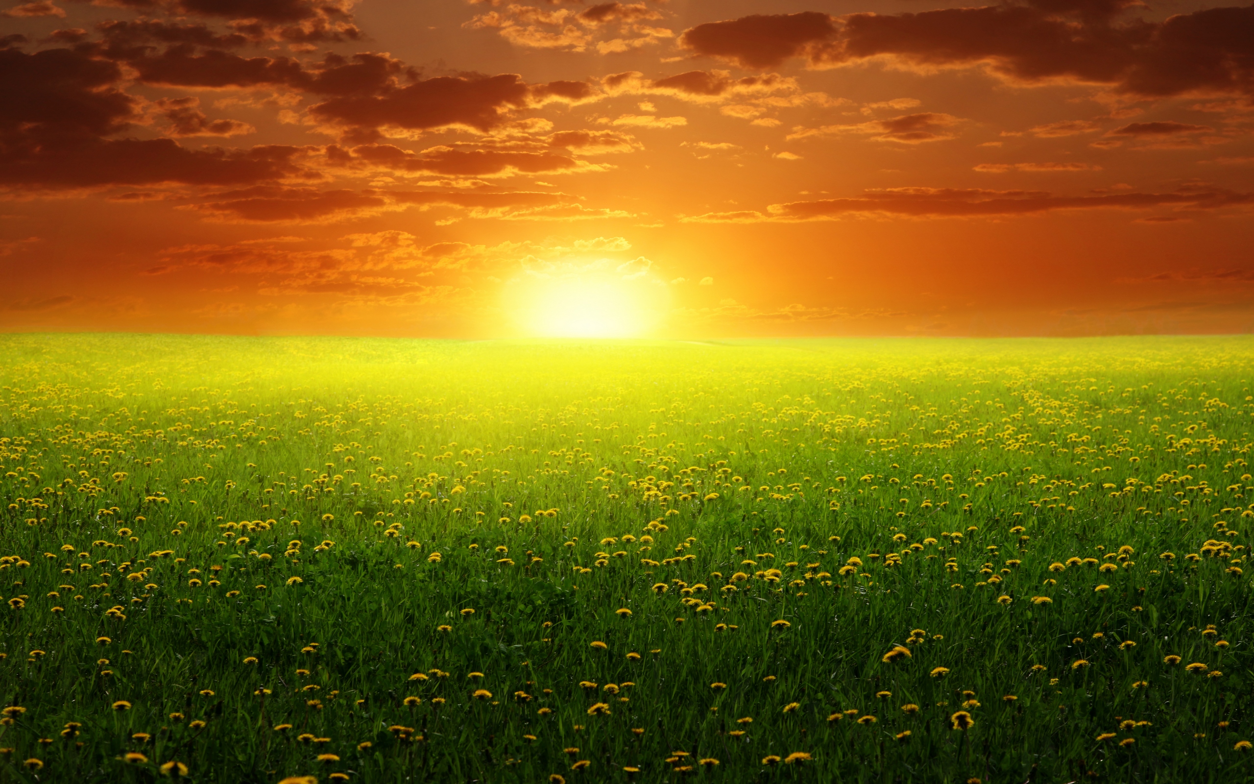 Sunset Spring Wallpapers - Wallpaper Cave