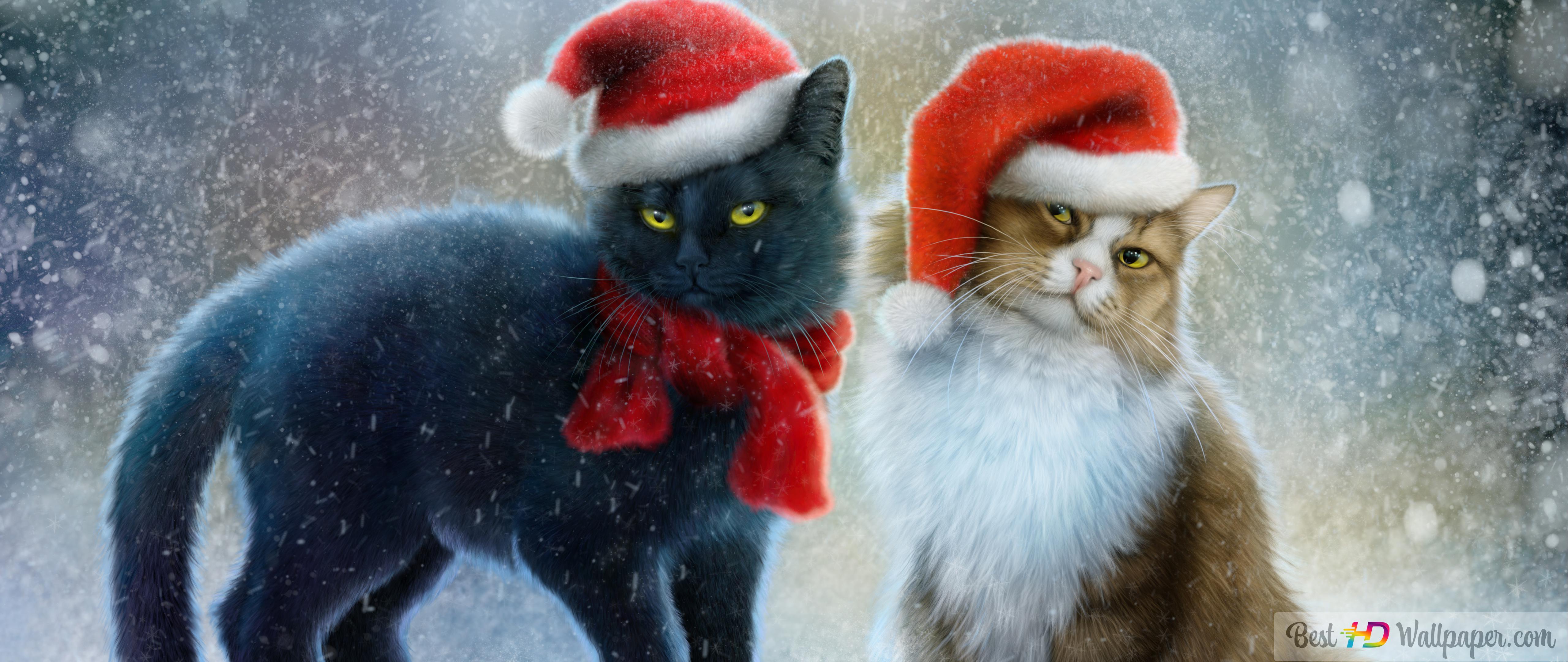 Cat In Snow Wallpapers - Wallpaper Cave