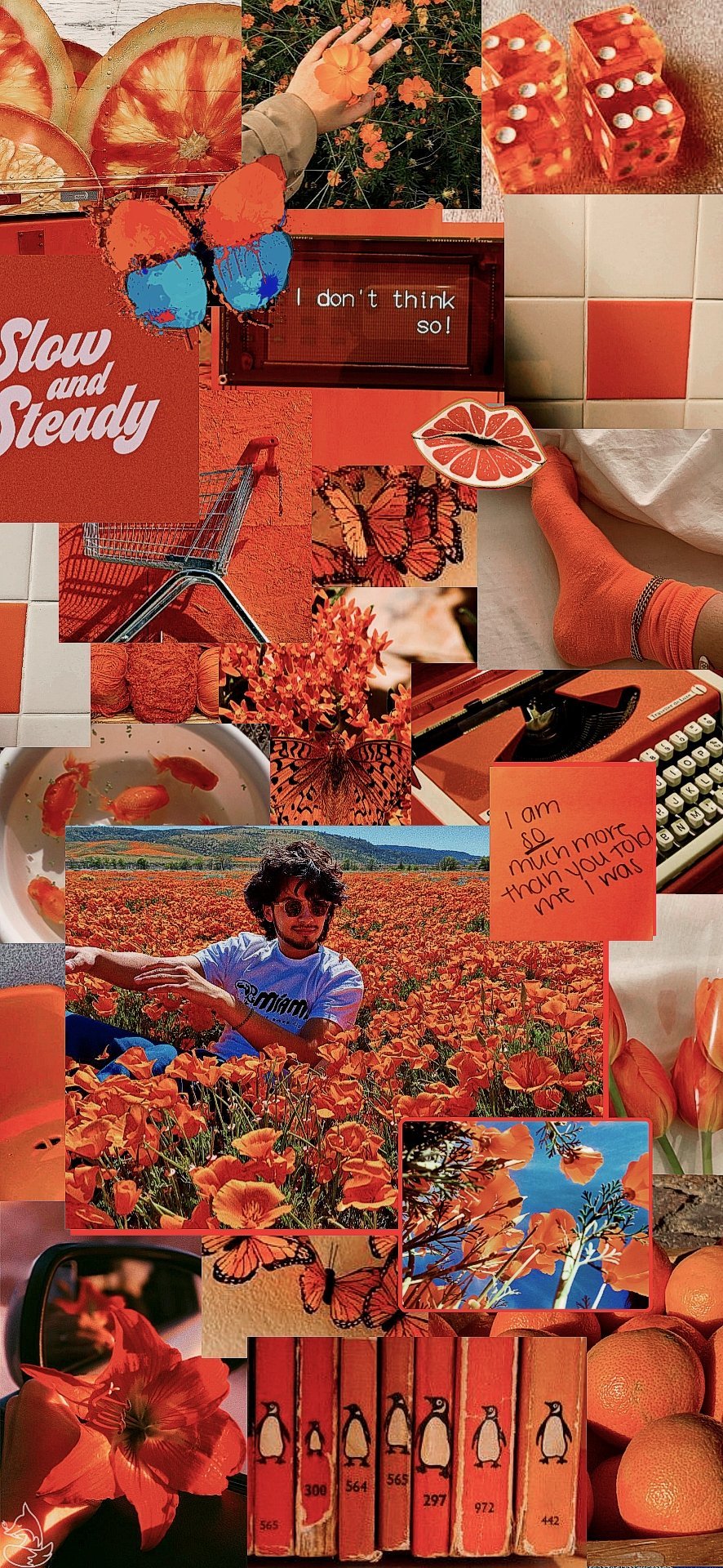 Xolo Mariduena Aesthetic Wallpapers - Wallpaper Cave