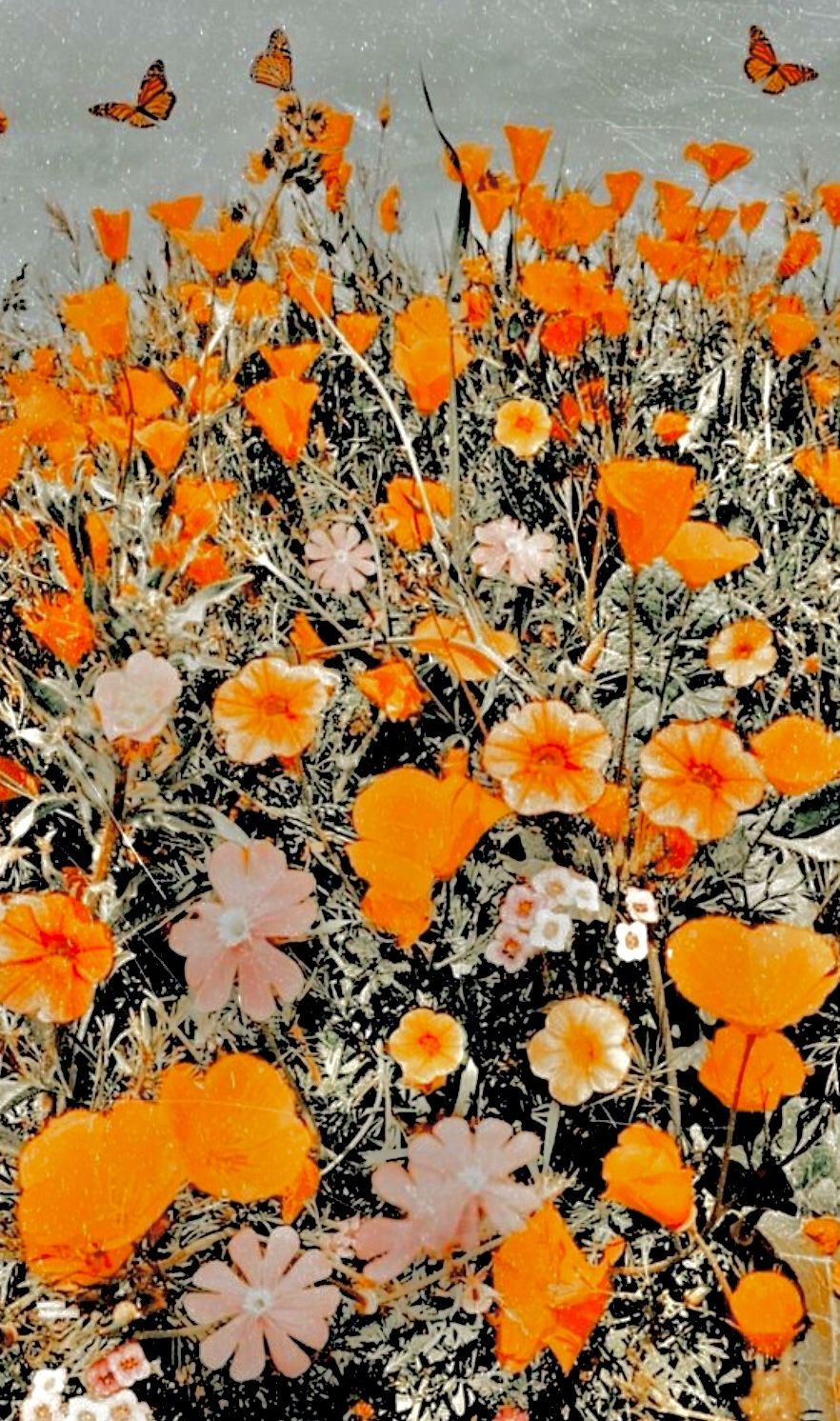 Cute Spring Flower Collage Wallpapers - Wallpaper Cave