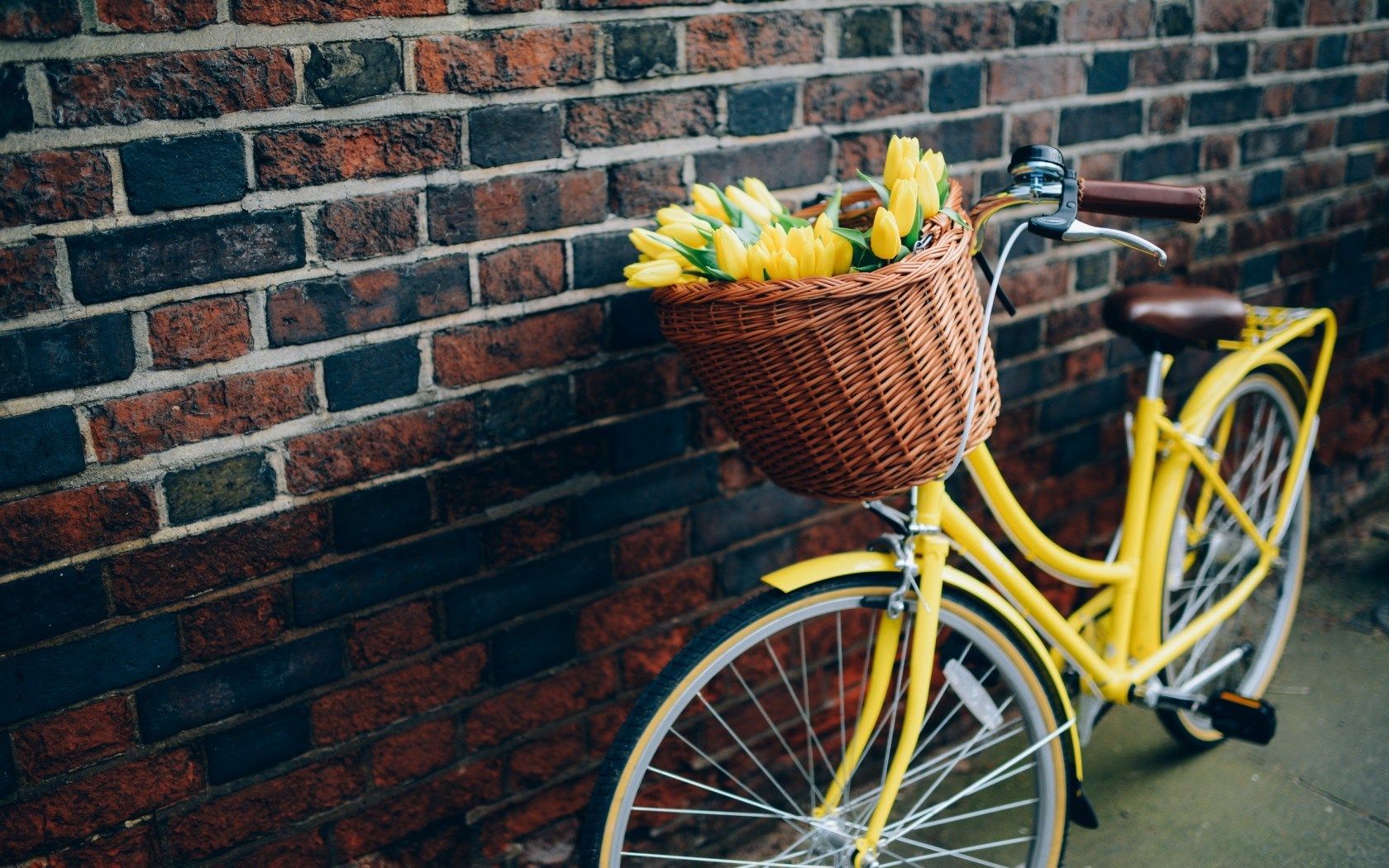 Spring Bicycle Wallpapers - Wallpaper Cave