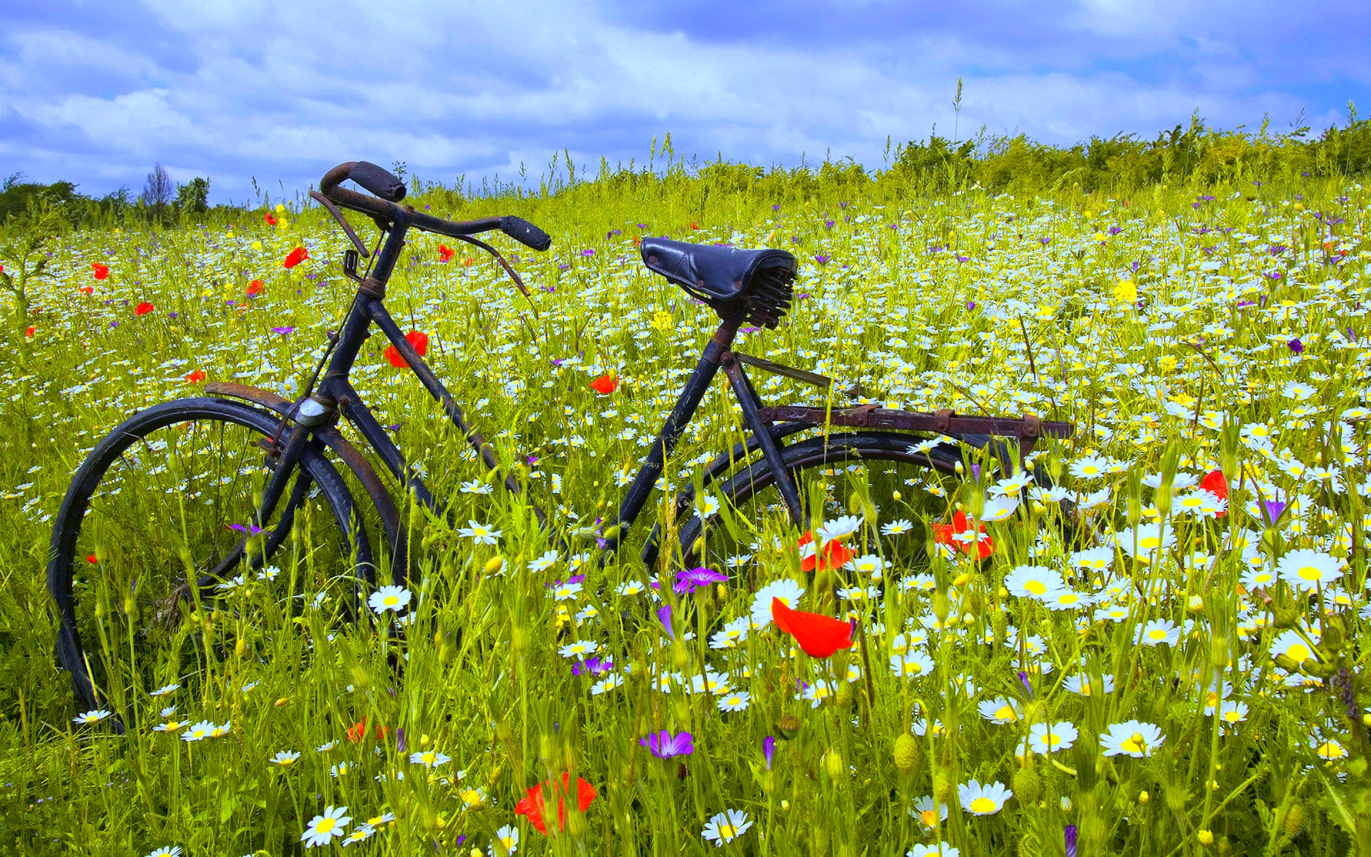 Spring Cycling Wallpapers - Wallpaper Cave