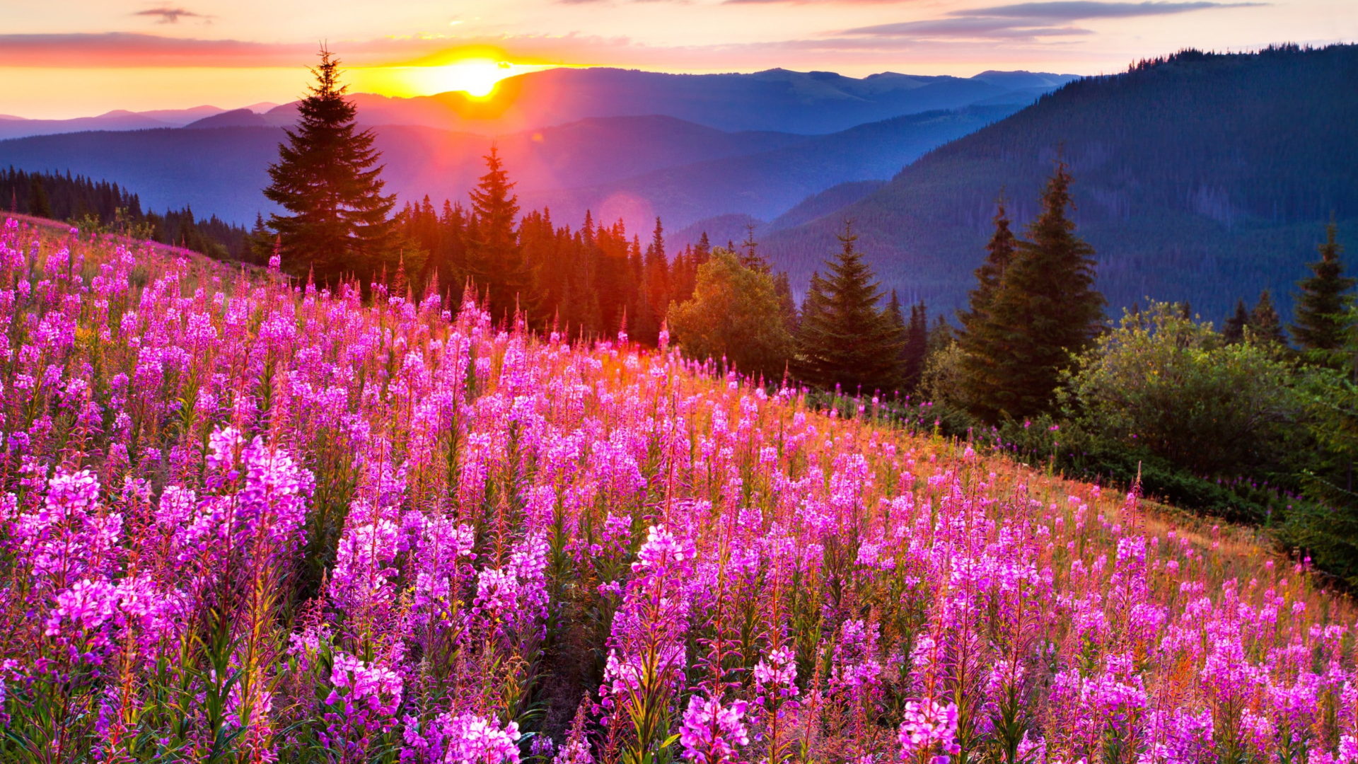 Mountain Sunset Summer Wallpapers Wallpaper Cave Daft HD