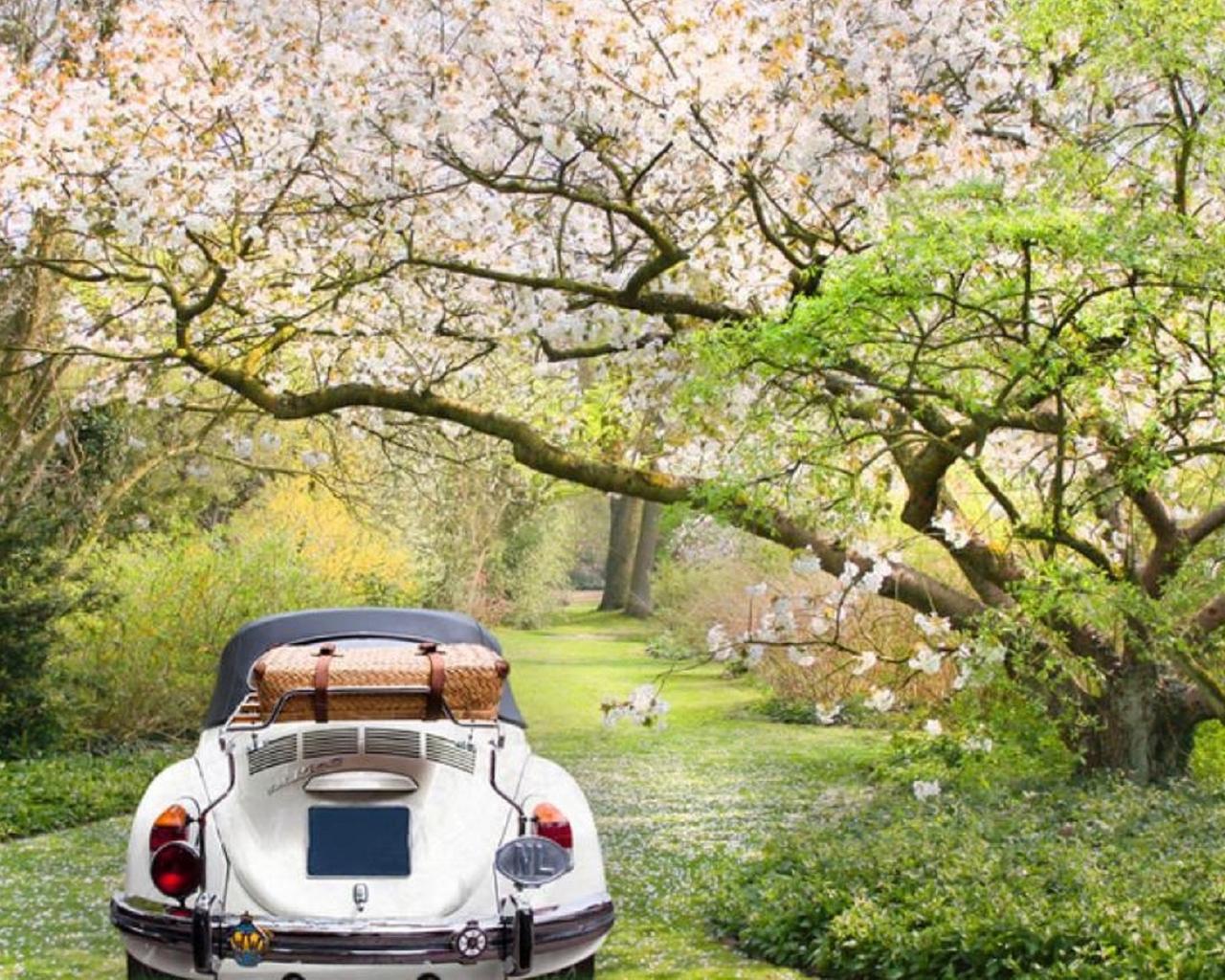 Spring Walks Wallpapers - Wallpaper Cave