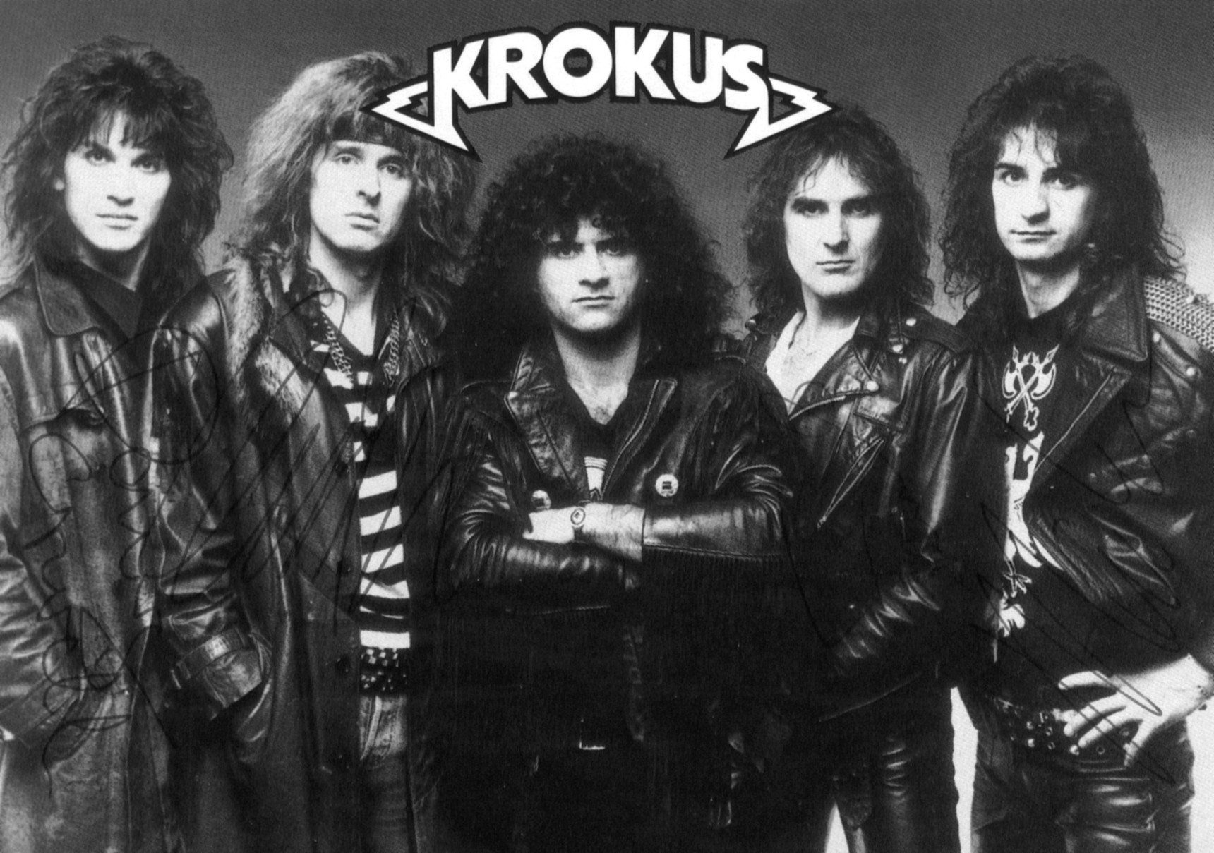 Krokus Wallpapers - Wallpaper Cave