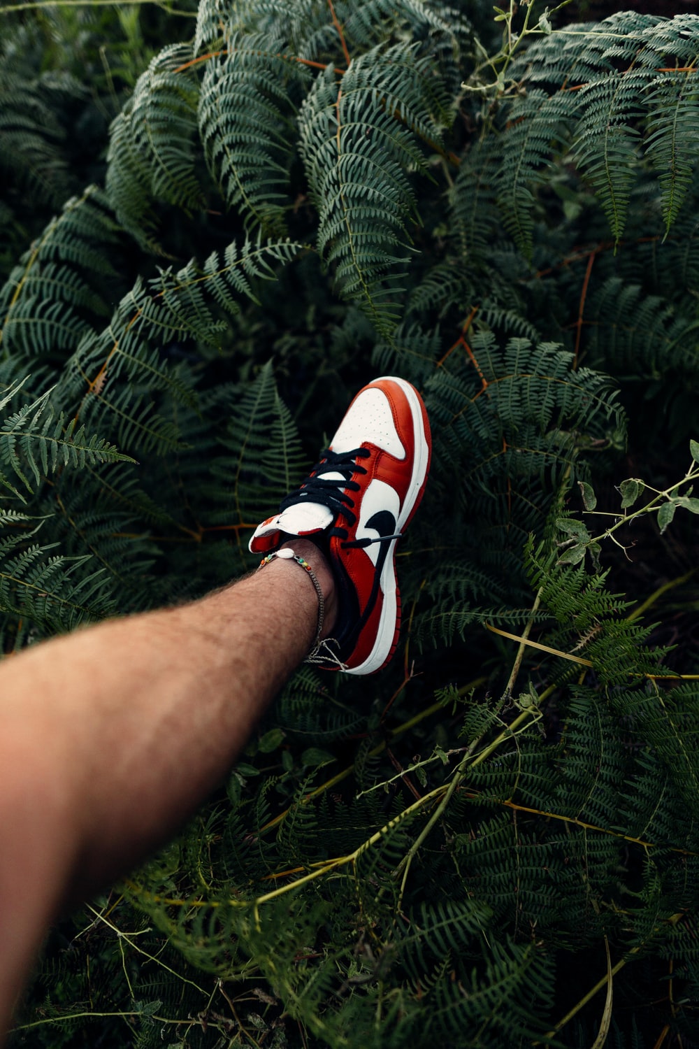 Dunk Low Wallpapers - Wallpaper Cave