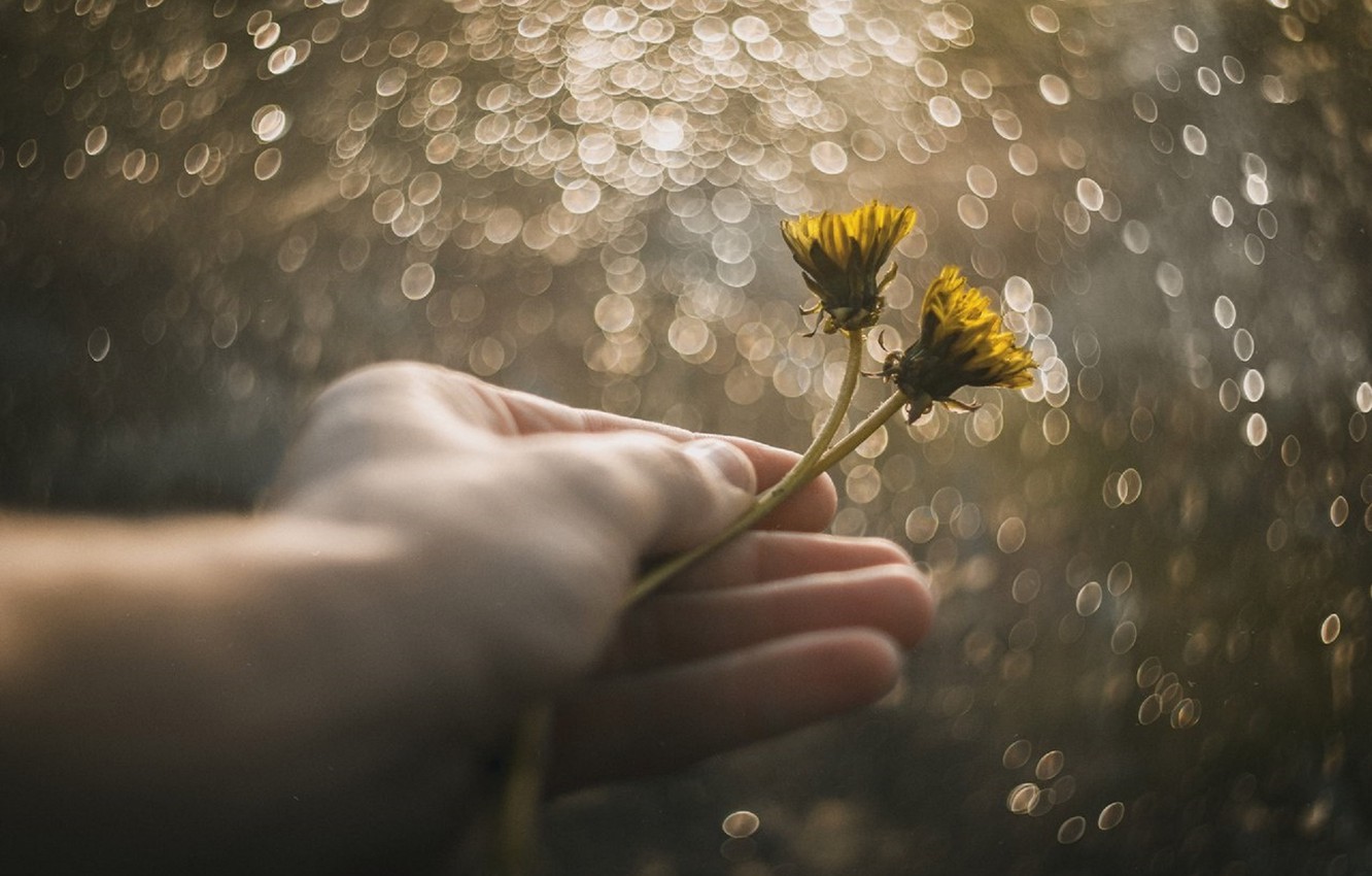 Summer Hands Wallpapers - Wallpaper Cave