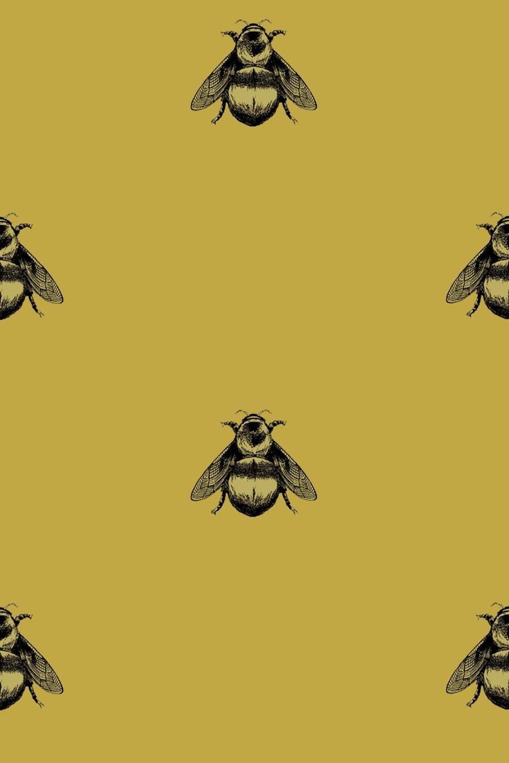 Bumble Bees Wallpapers - Wallpaper Cave