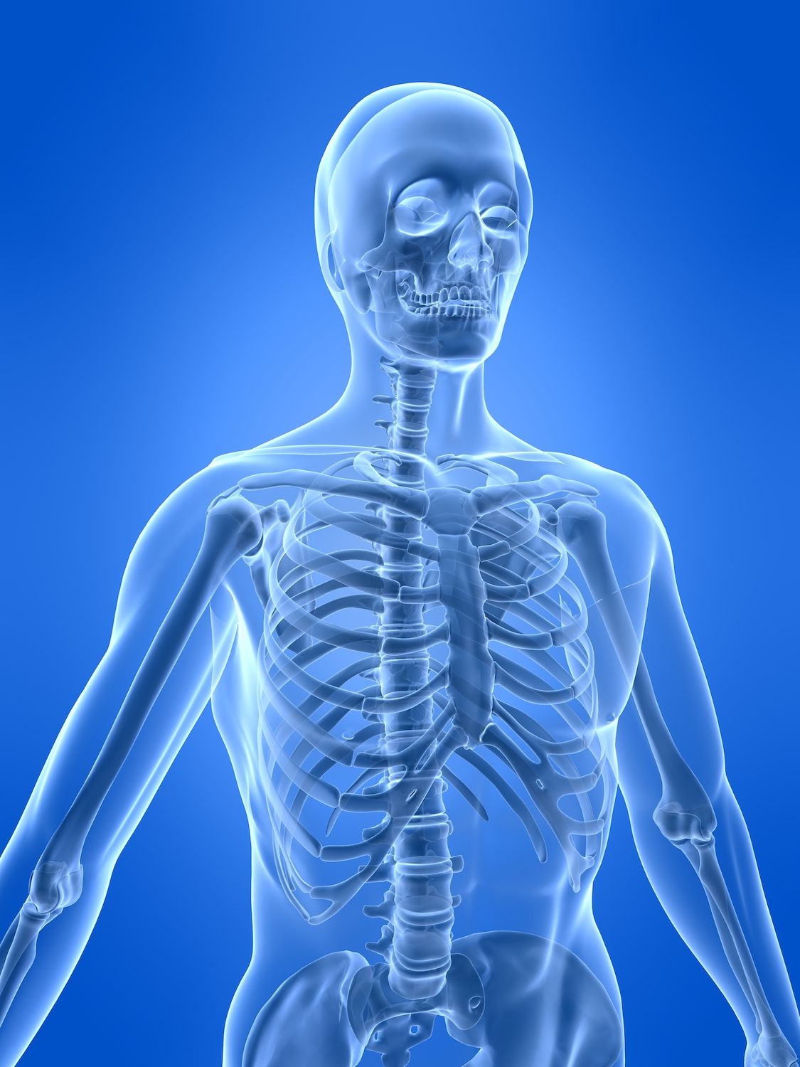 Skeletal System Wallpapers Wallpaper Cave Skeletal System Wallpapers Wallpaper Cave