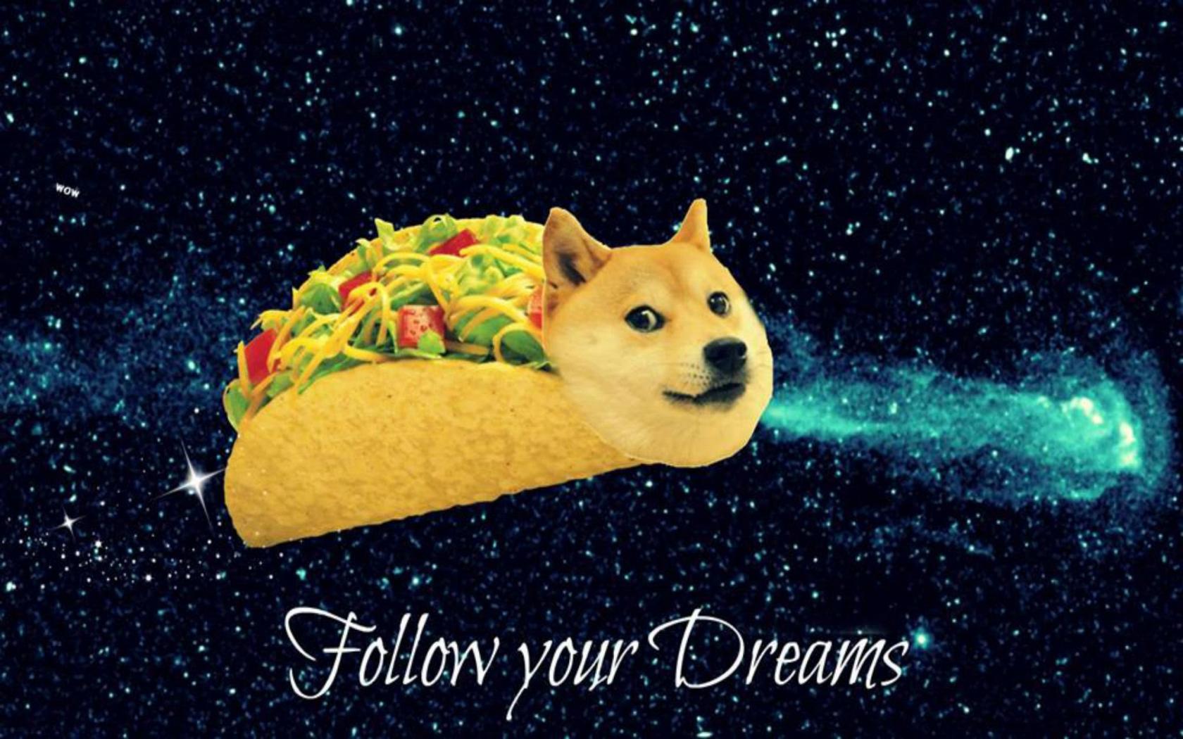 Taco Dog Wallpapers - Wallpaper Cave