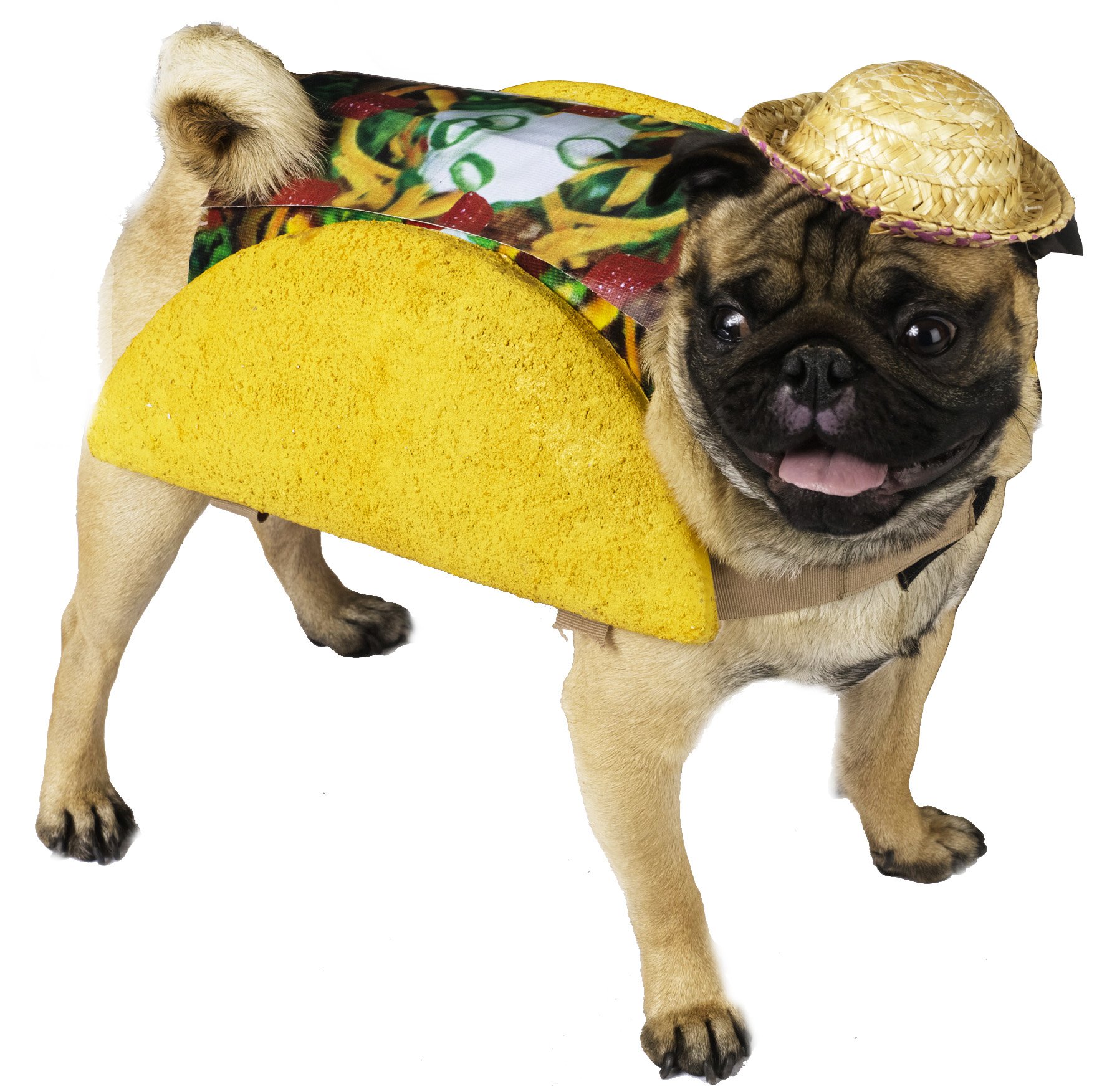 Taco Dog Wallpapers - Wallpaper Cave