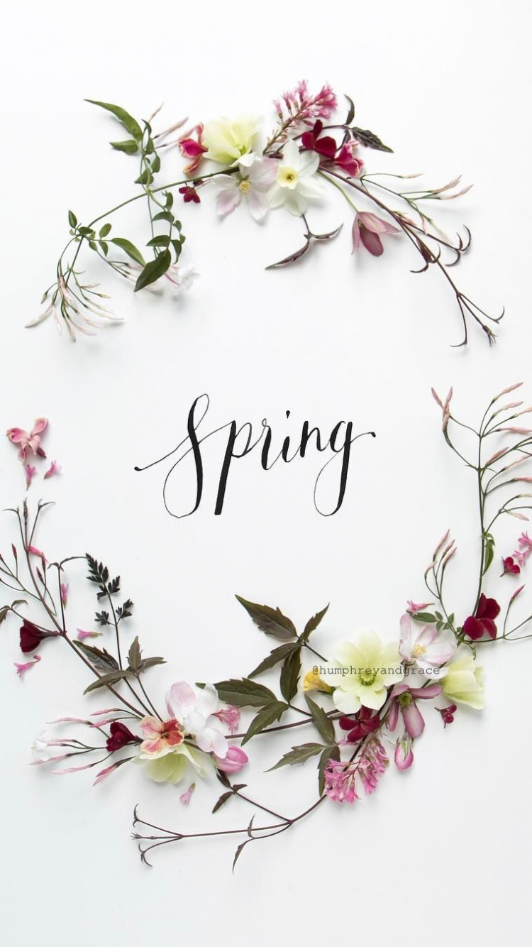 Aesthetic Spring Cute Wallpapers - Wallpaper Cave