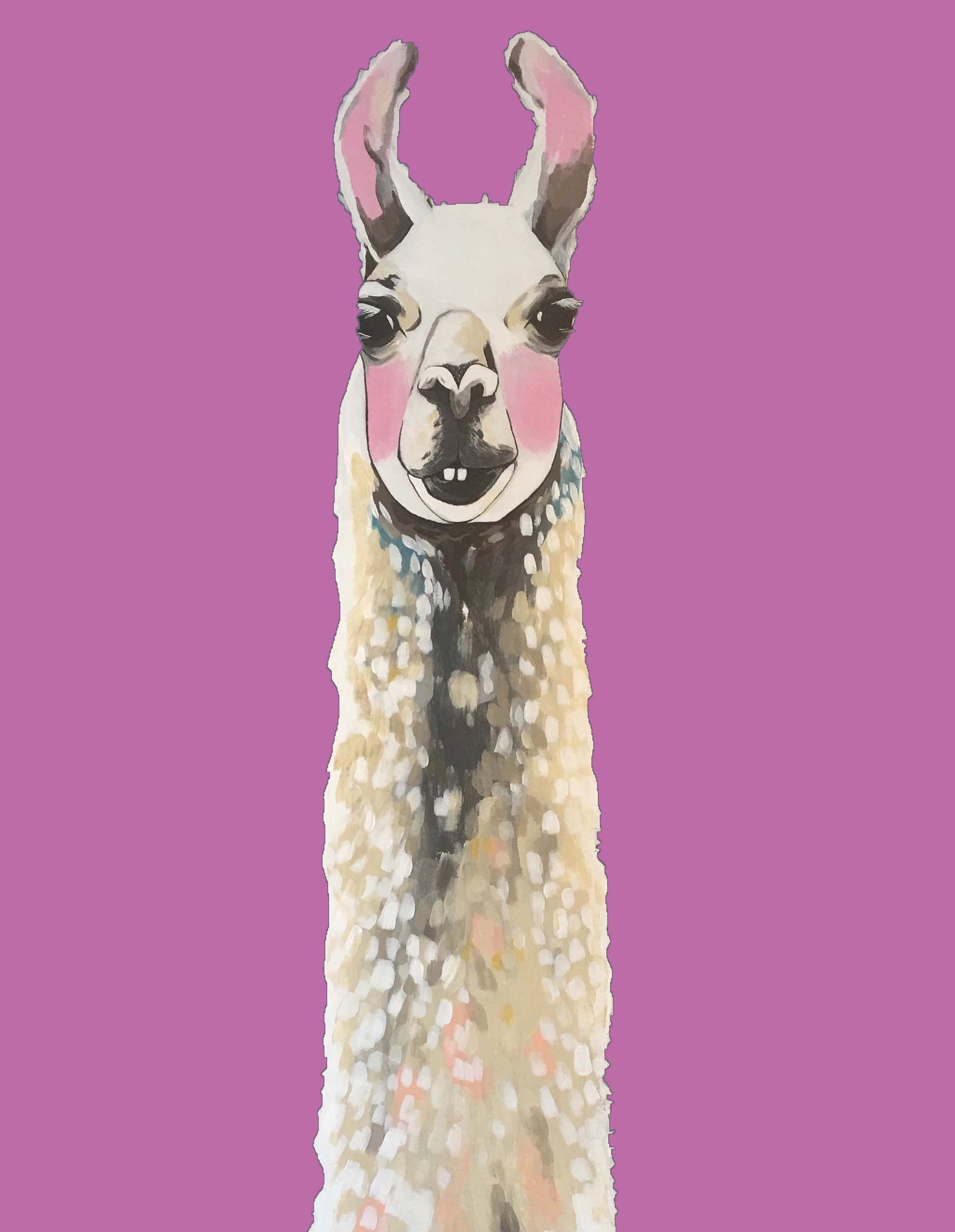 Spring Llama Wallpapers - Wallpaper Cave