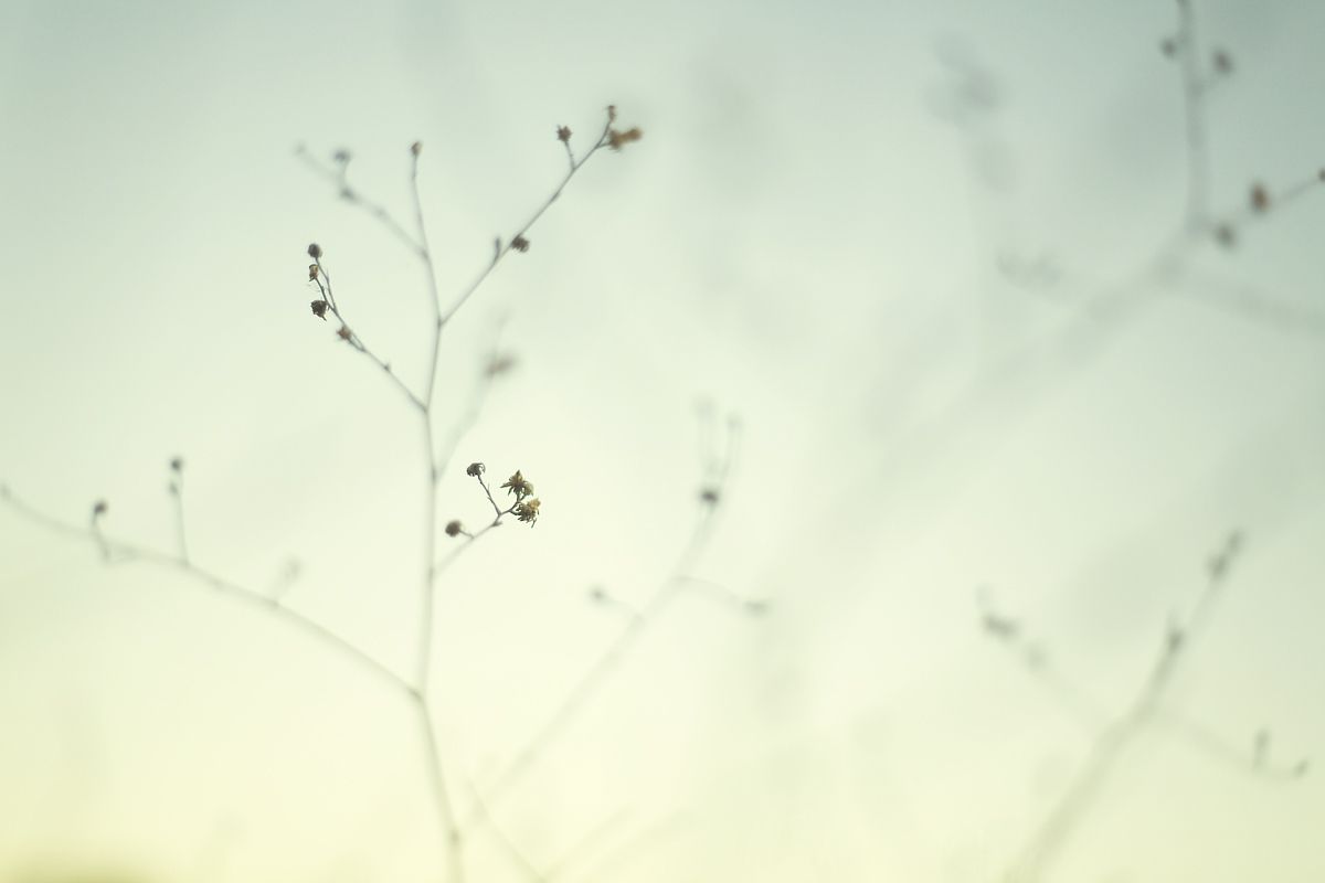 Minimal Spring PC Wallpapers - Wallpaper Cave