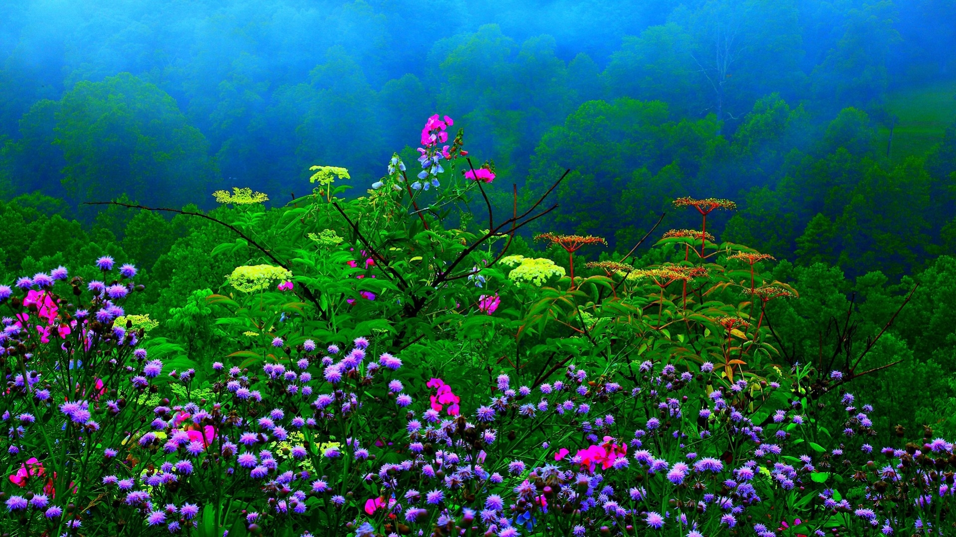 Abstract Spring PC Wallpapers - Wallpaper Cave