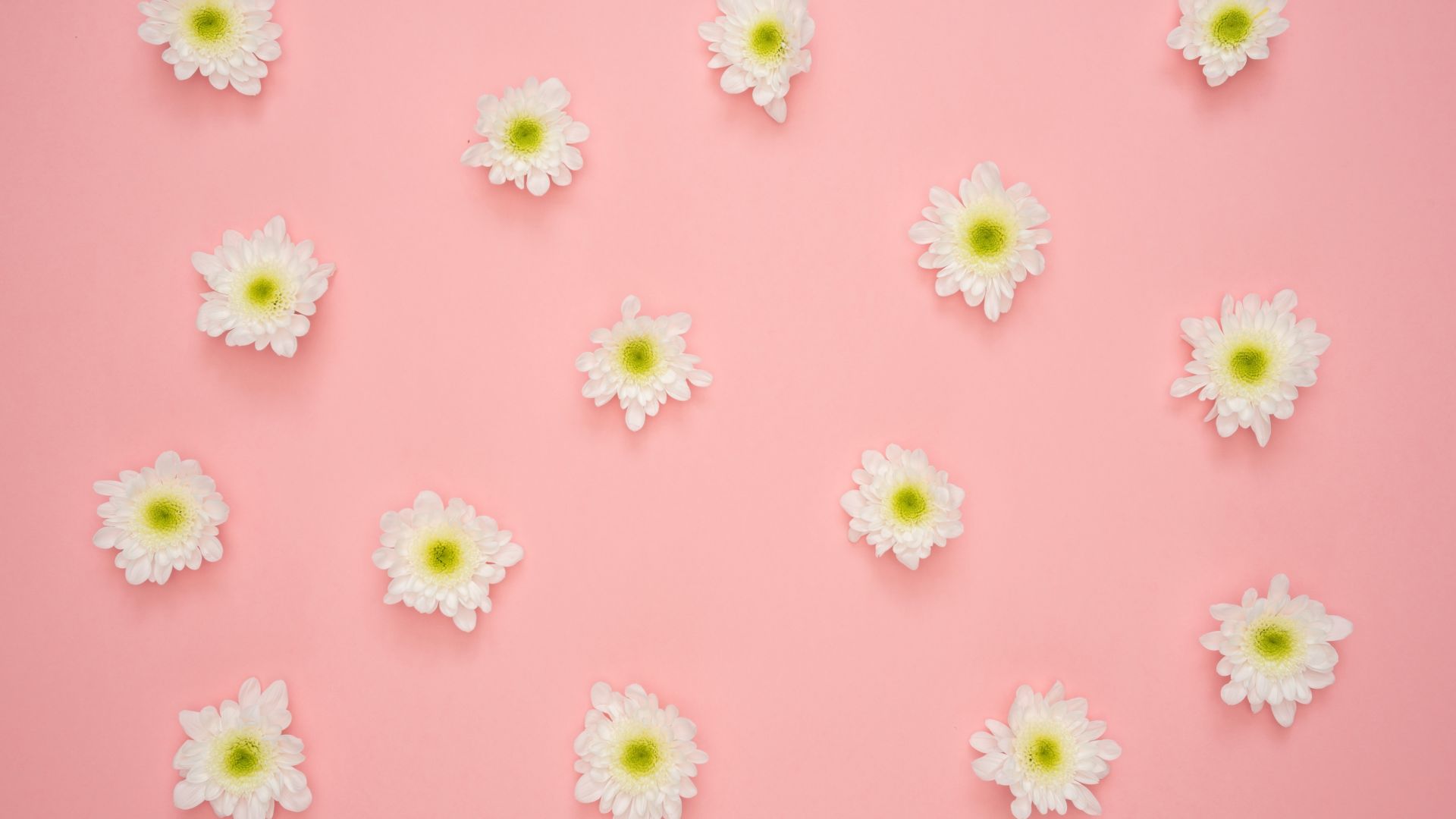Minimal Spring PC Wallpapers - Wallpaper Cave