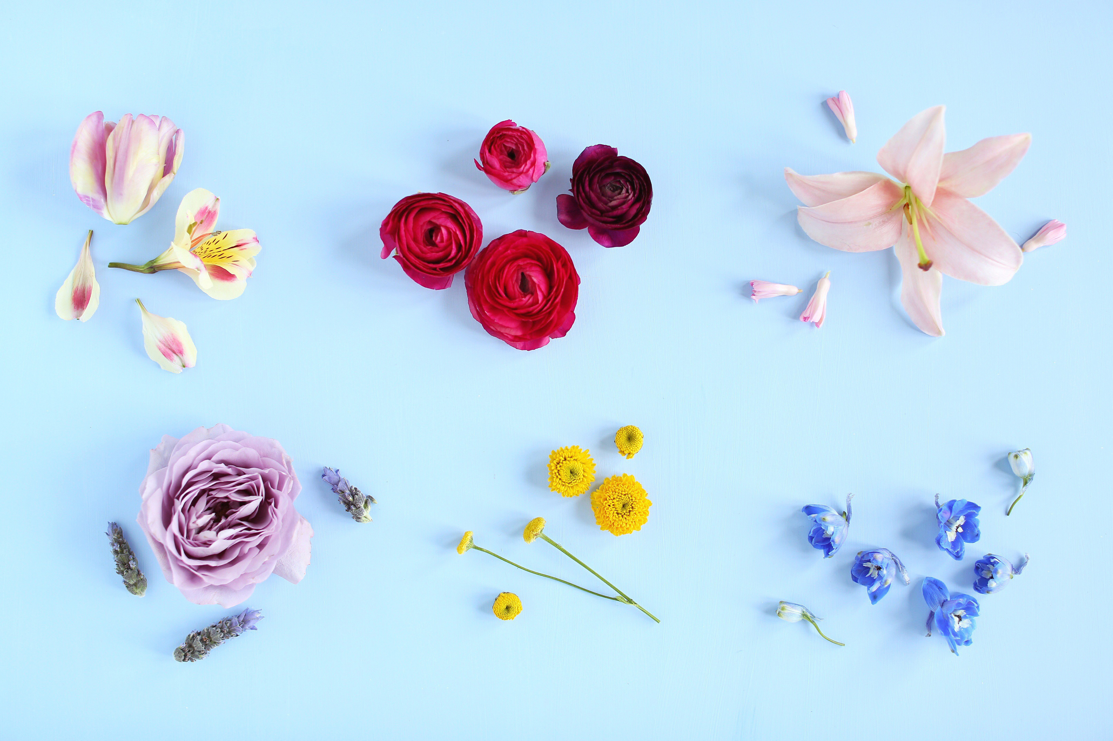 Simple Spring Desktop Wallpapers - Wallpaper Cave