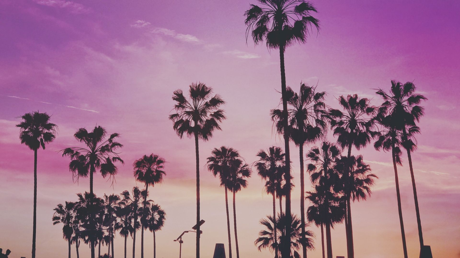 Miami Sunset Wallpapers - Wallpaper Cave