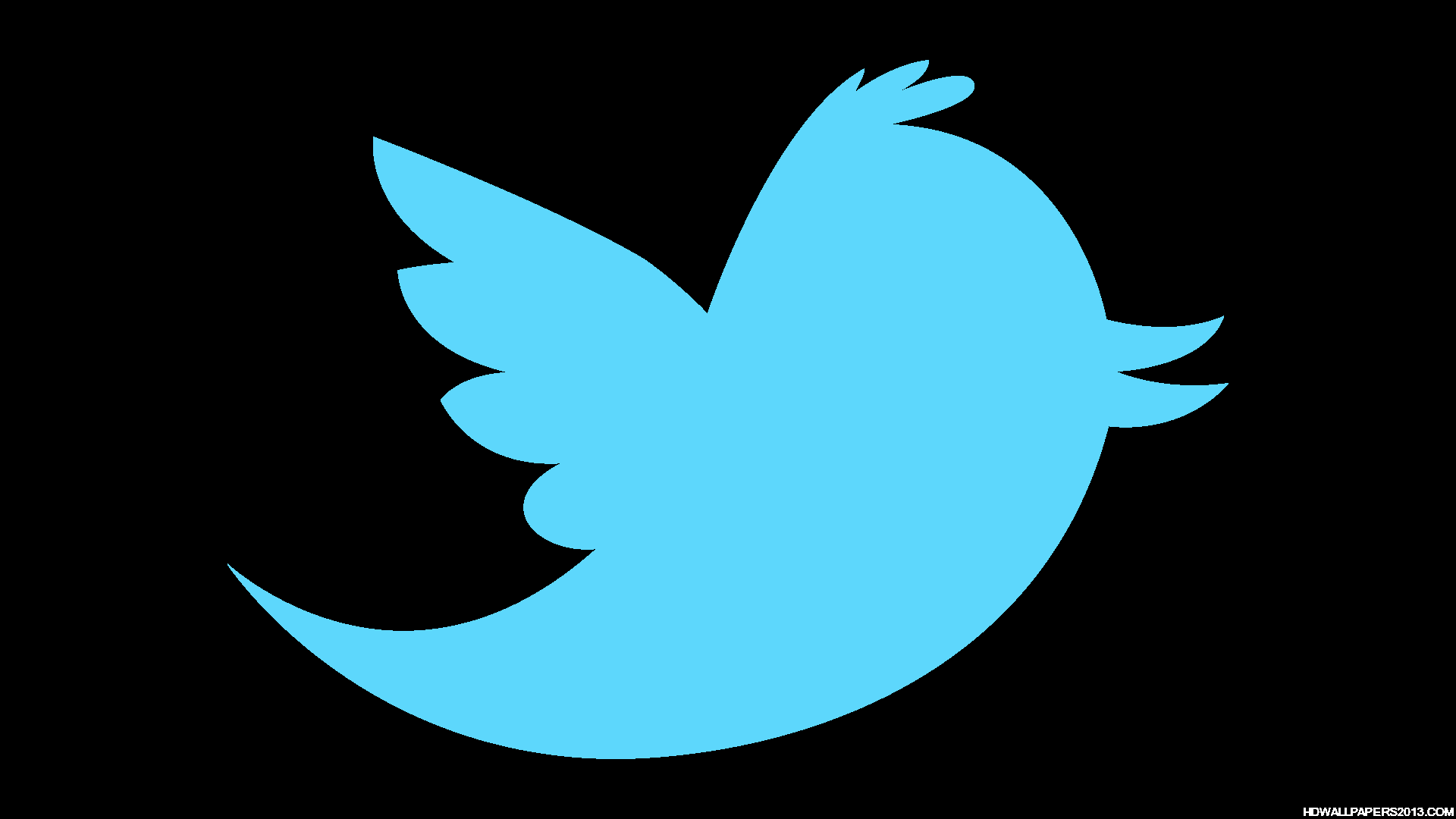 Twitter Logo 2022 Hd