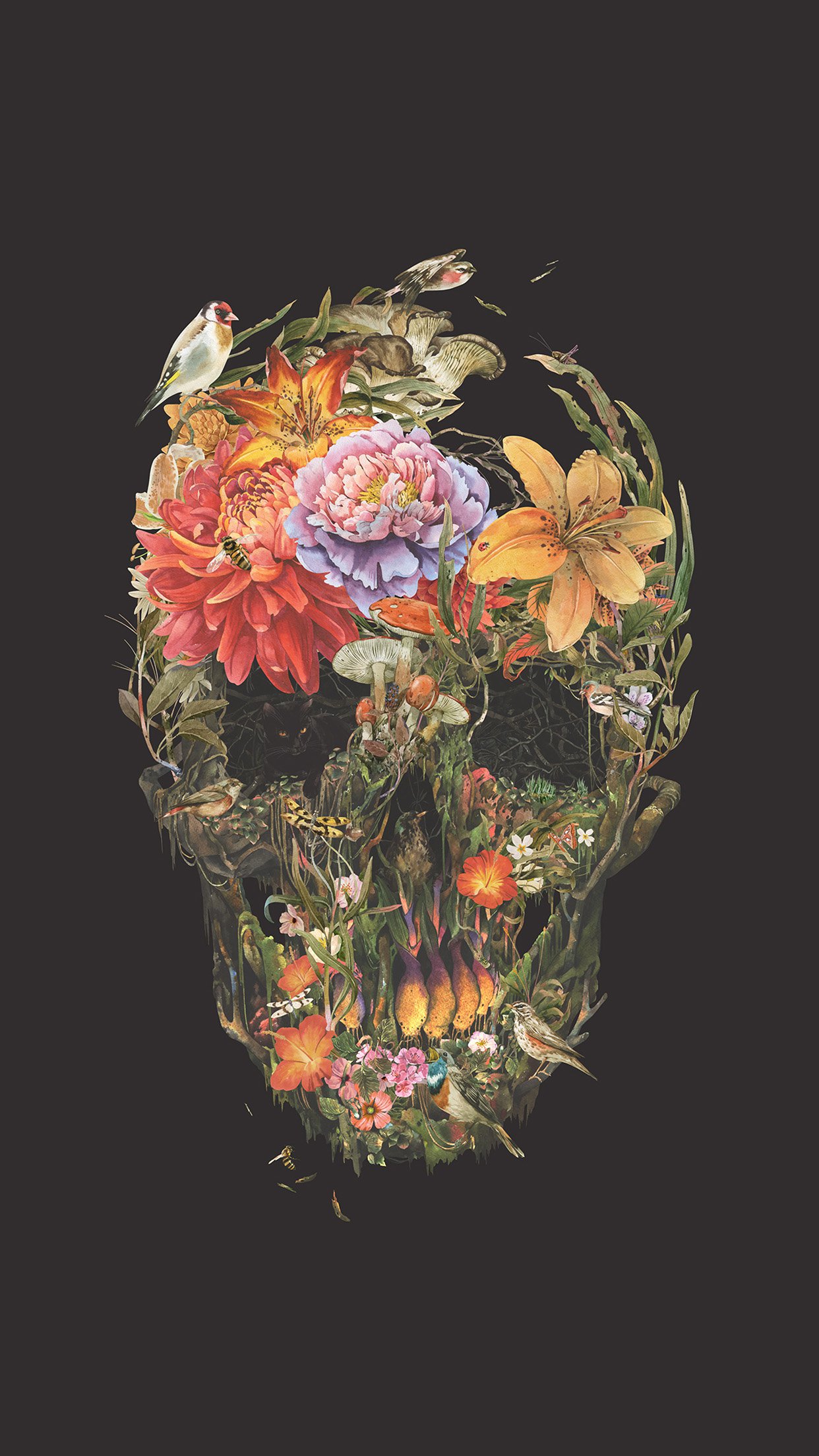 Floral Skull Wallpapers - Wallpaper Cave