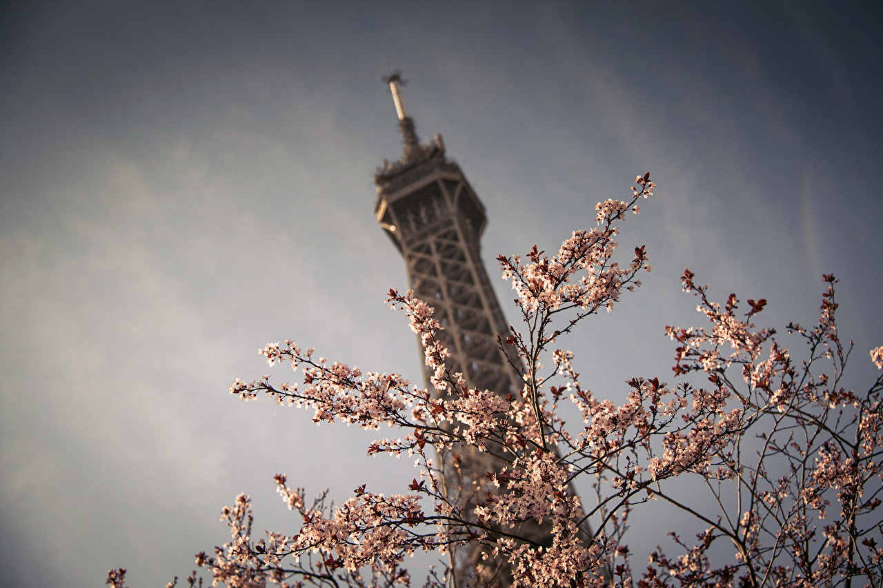 Spring Paris Desktop Wallpapers - Wallpaper Cave