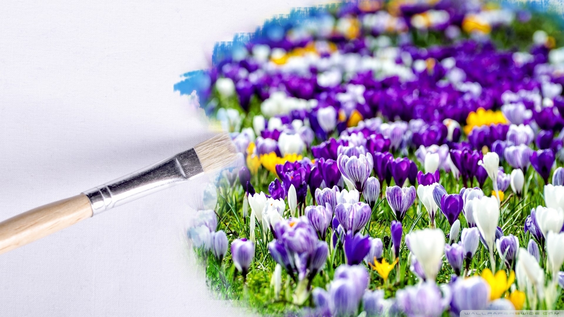 Spring Paint Wallpapers - Wallpaper Cave