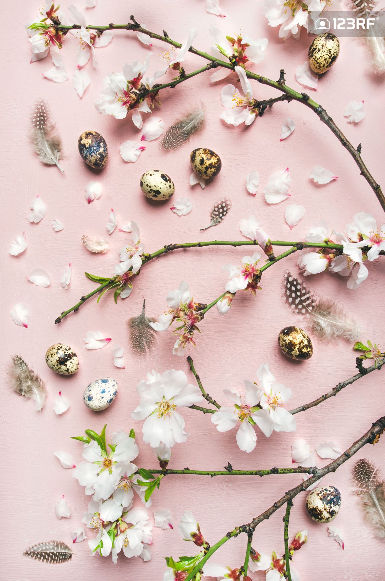 Vertical Spring Flowers Wallpapers - Wallpaper Cave